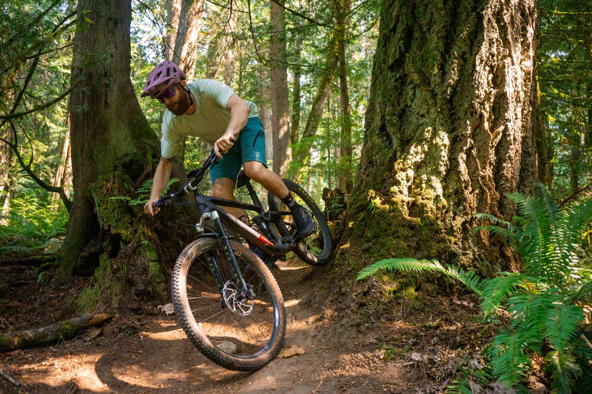 Tested: Trek Top Fuel - BikeMag