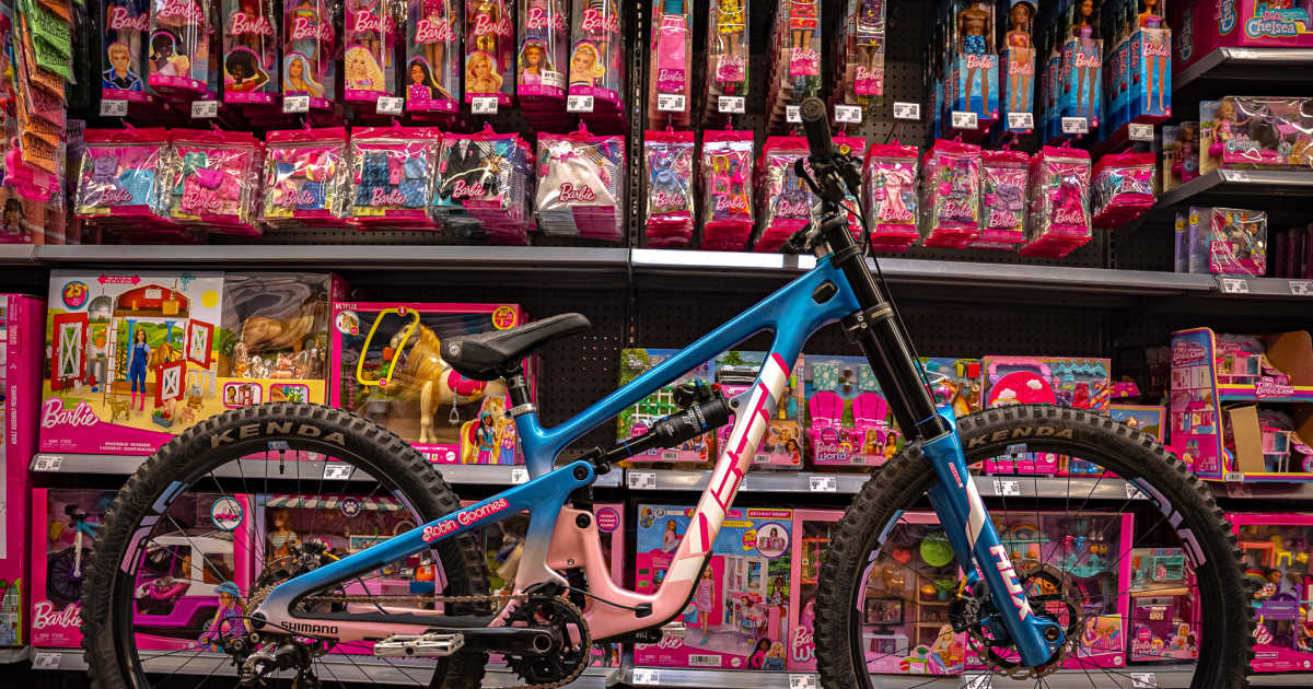 The Women's Red Bull Rampage-Winning Bike of Robin Goomes - BikeMag