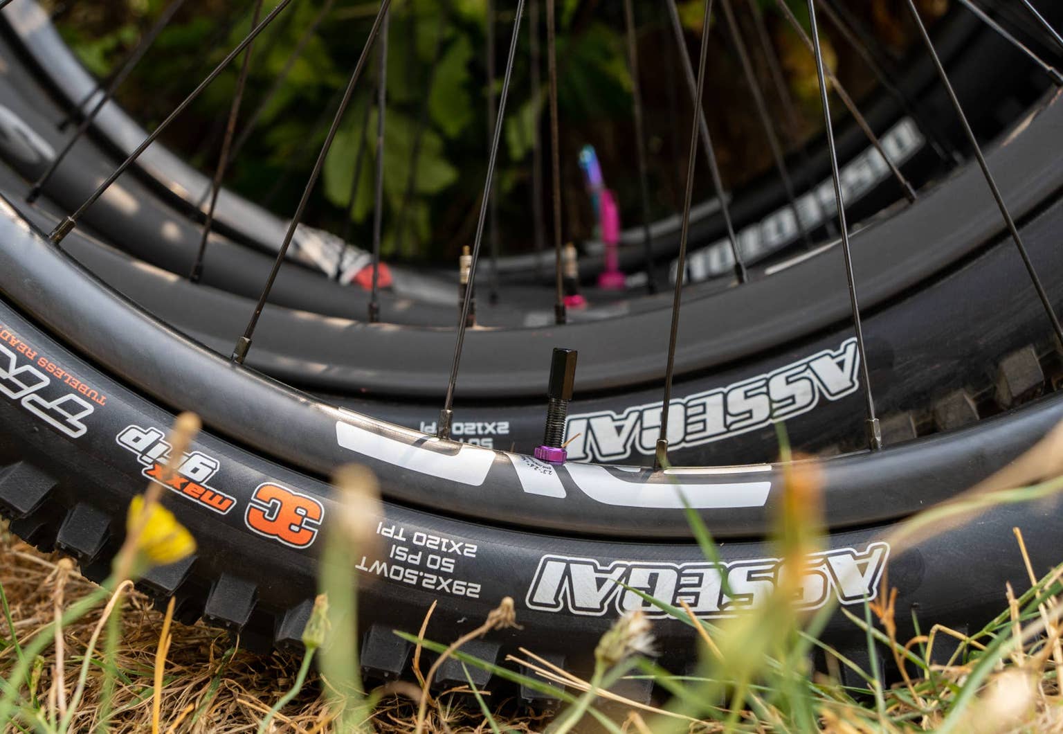 Tested: The Best Carbon Mountain Bike Wheels - BikeMag