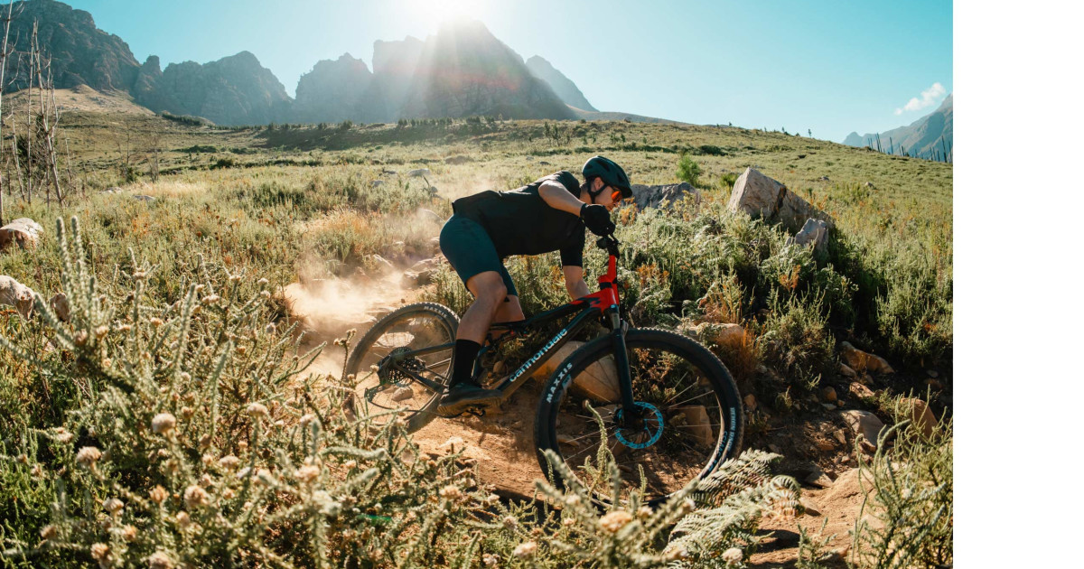 Save Thousands on Cannondale's Most Popular Mountain Bikes Right Now - BikeMag