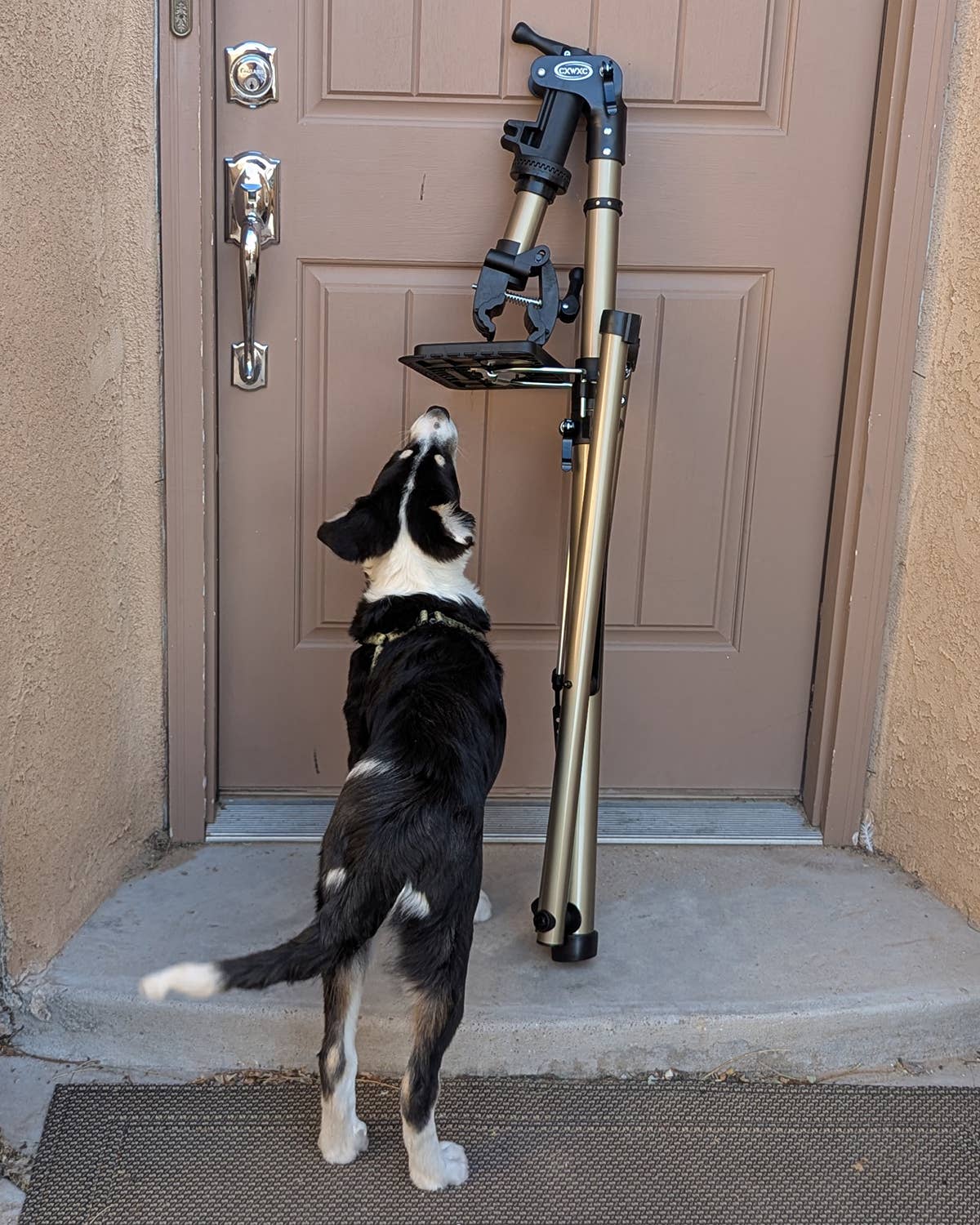 Can an $86 bike repair stand be any good? - BikeMag