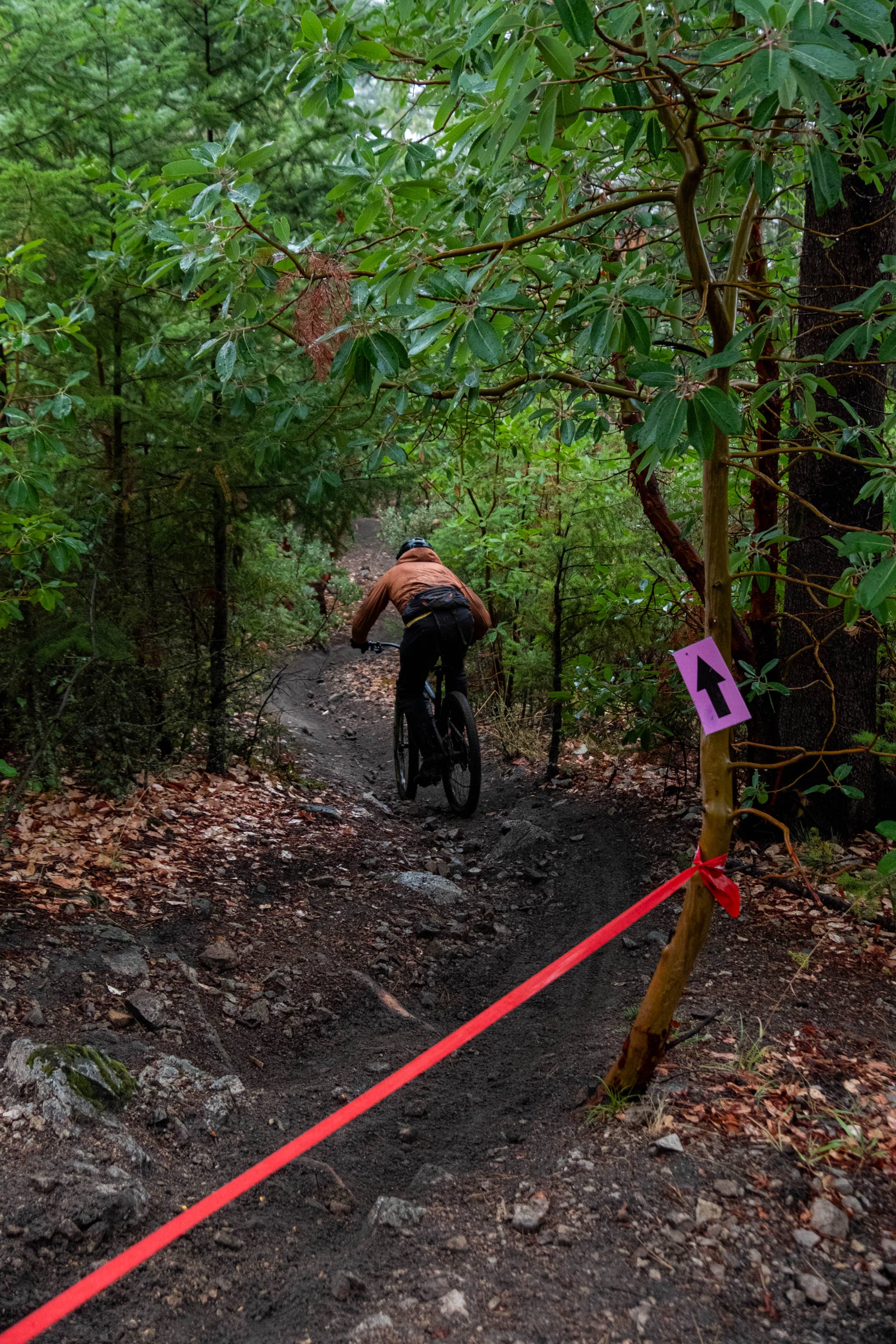 What Is Enduro Racing? A Complete Guide to the MTB Discipline - BikeMag