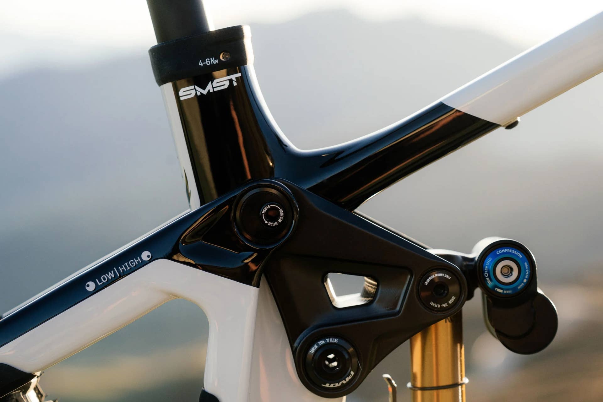 New Pivot Shuttle eMTB 2025: First Look & Specs Review - BikeMag