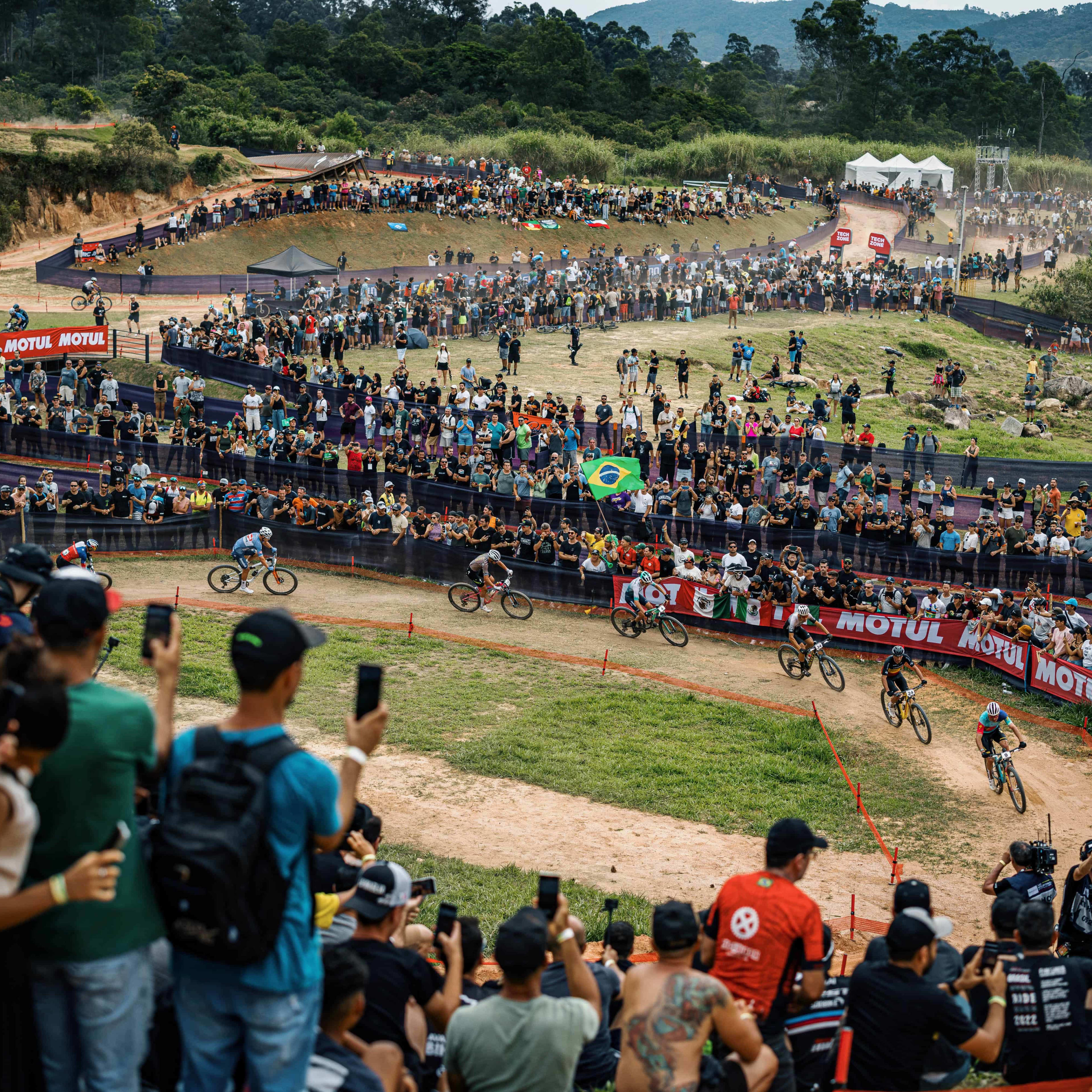 Cross Country Pro Pauses Practice To View Monkey At Brazil World Cup ...