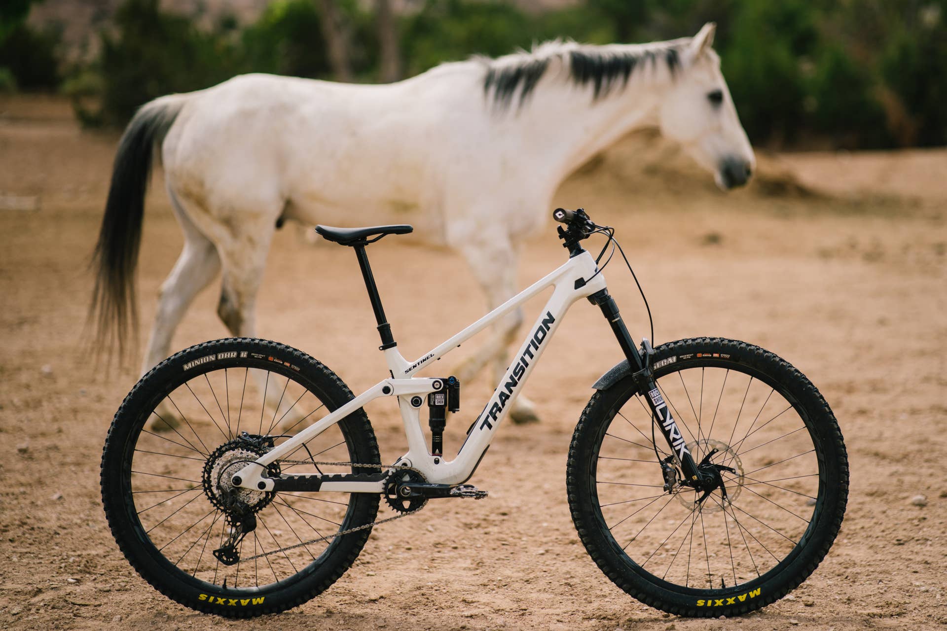 Our First Look and Review of the All New Transition Regulator - BikeMag