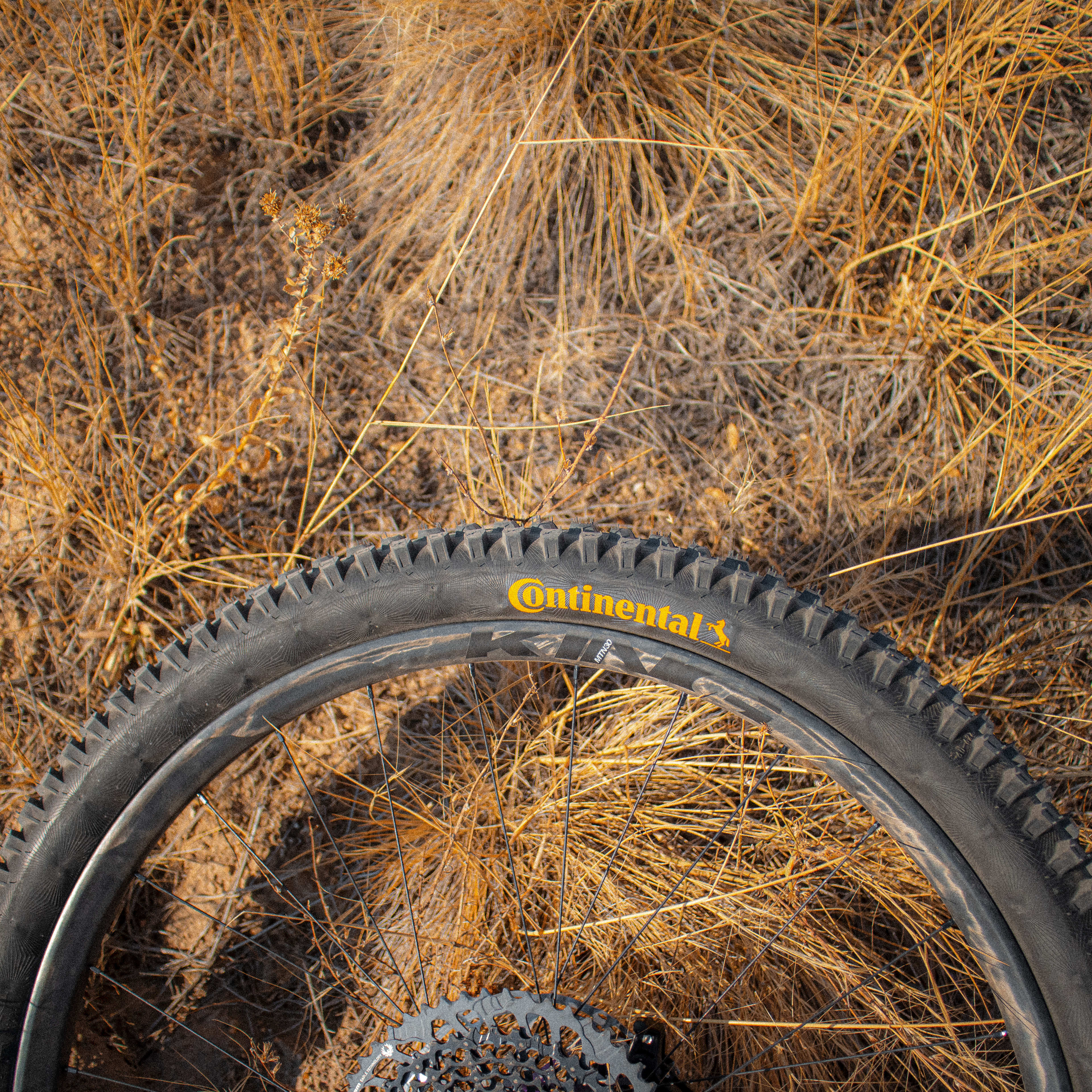 Rónán Dunne Talks About injury, Recovery, and Red Bull Hardline 2025 ...