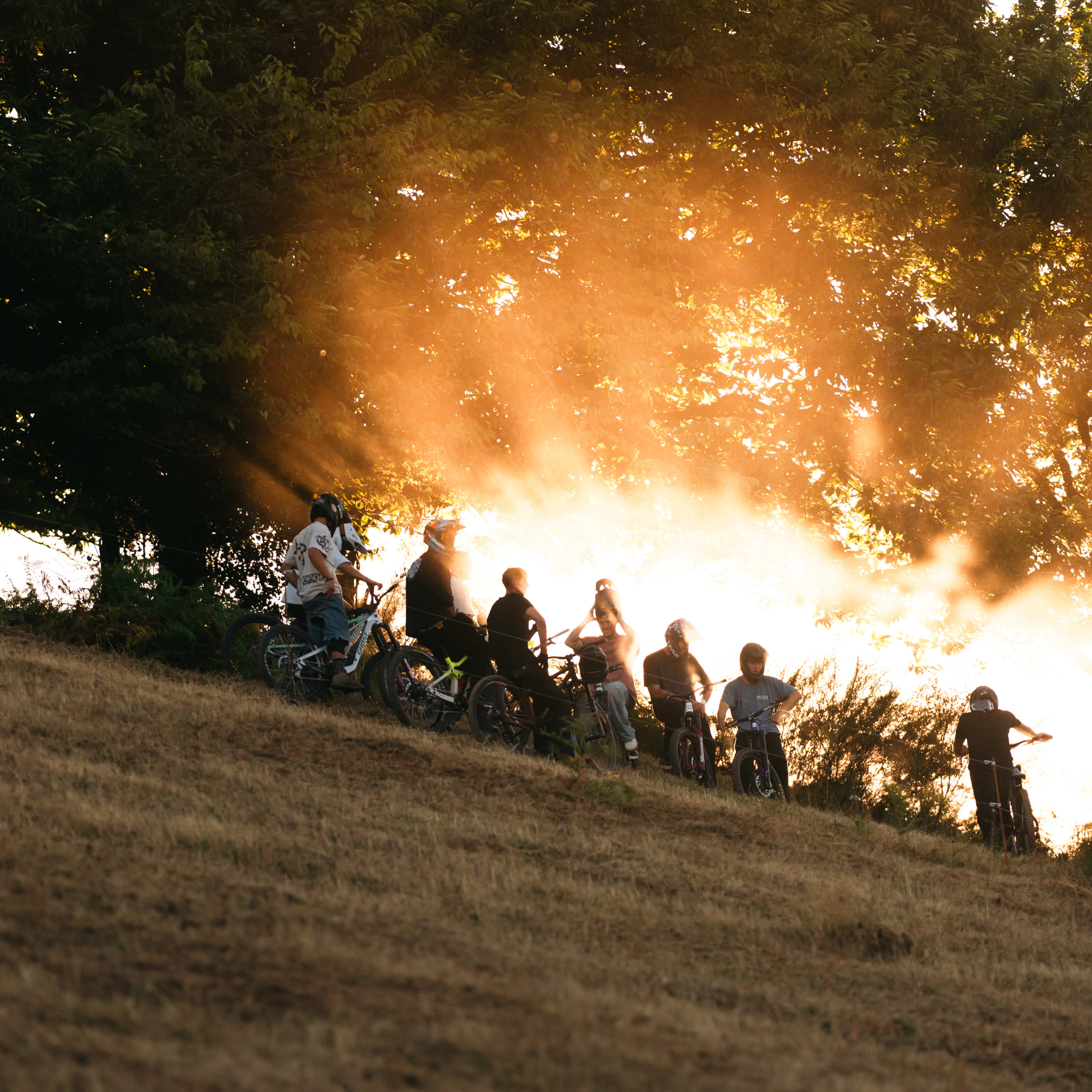 The 10 Best Mountain Bike Movies of All Time - BikeMag