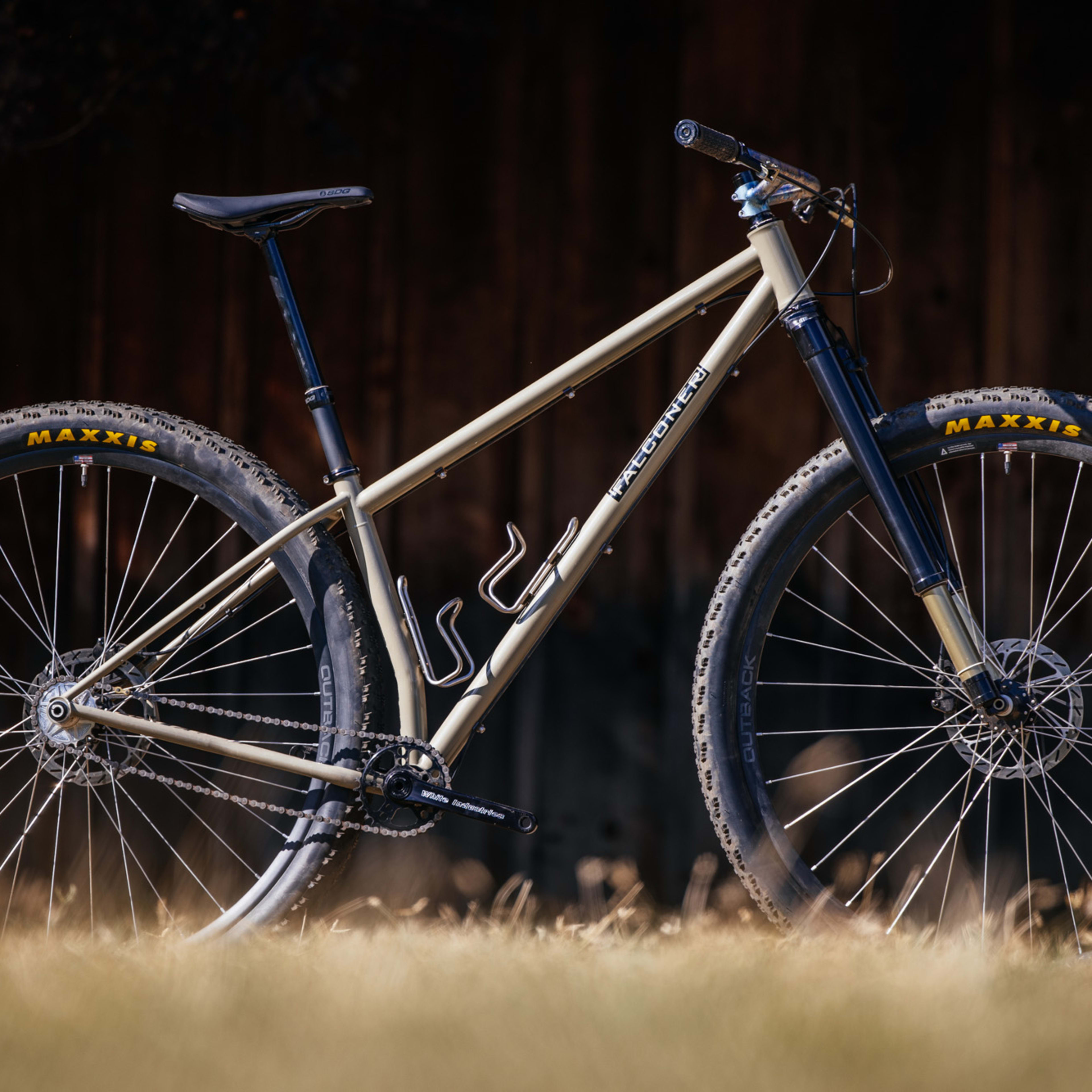 Biking 201: How To Whip Like a Pro - A Step-by-Step Guide - BikeMag