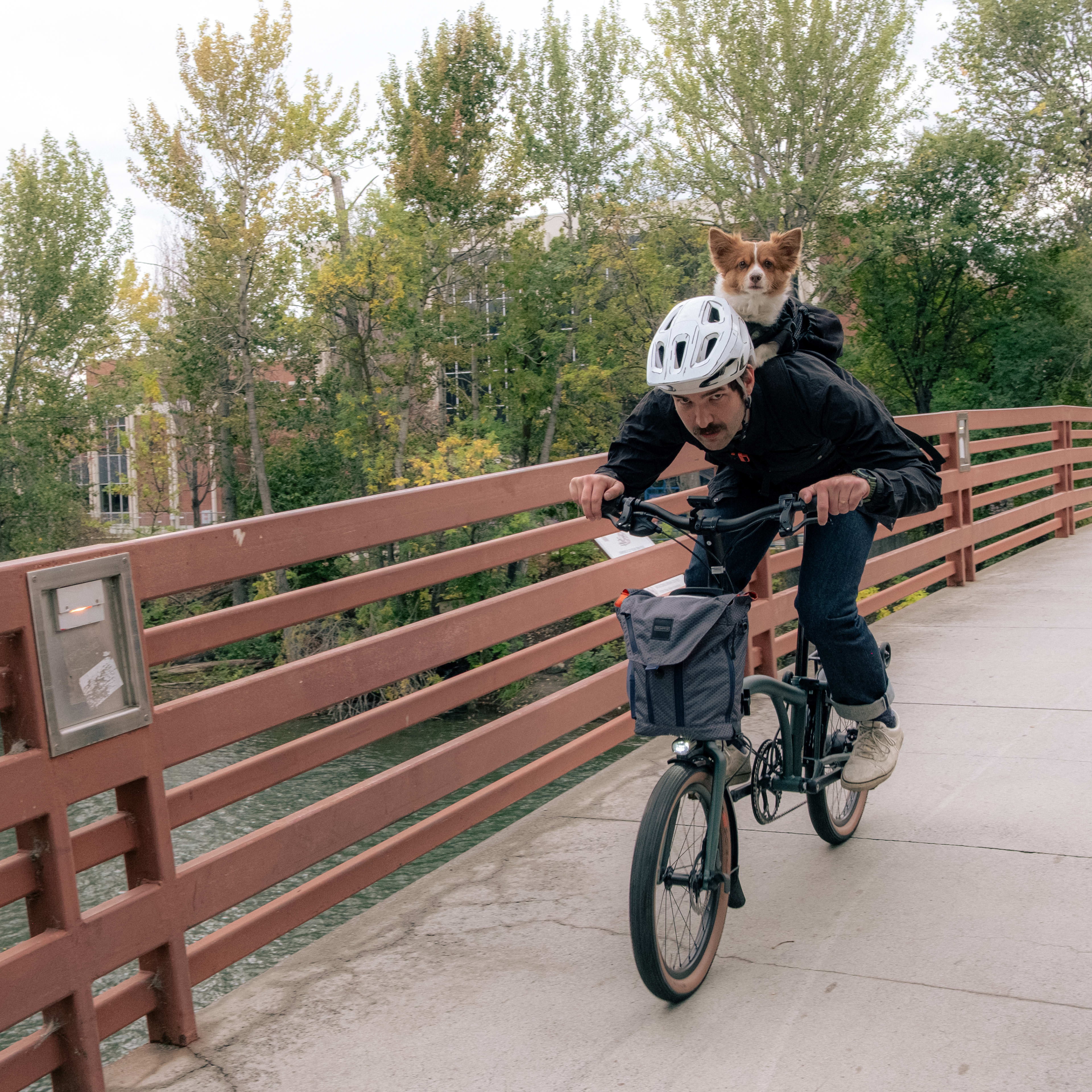 The 10 Best Mountain Bike Movies of All Time - BikeMag