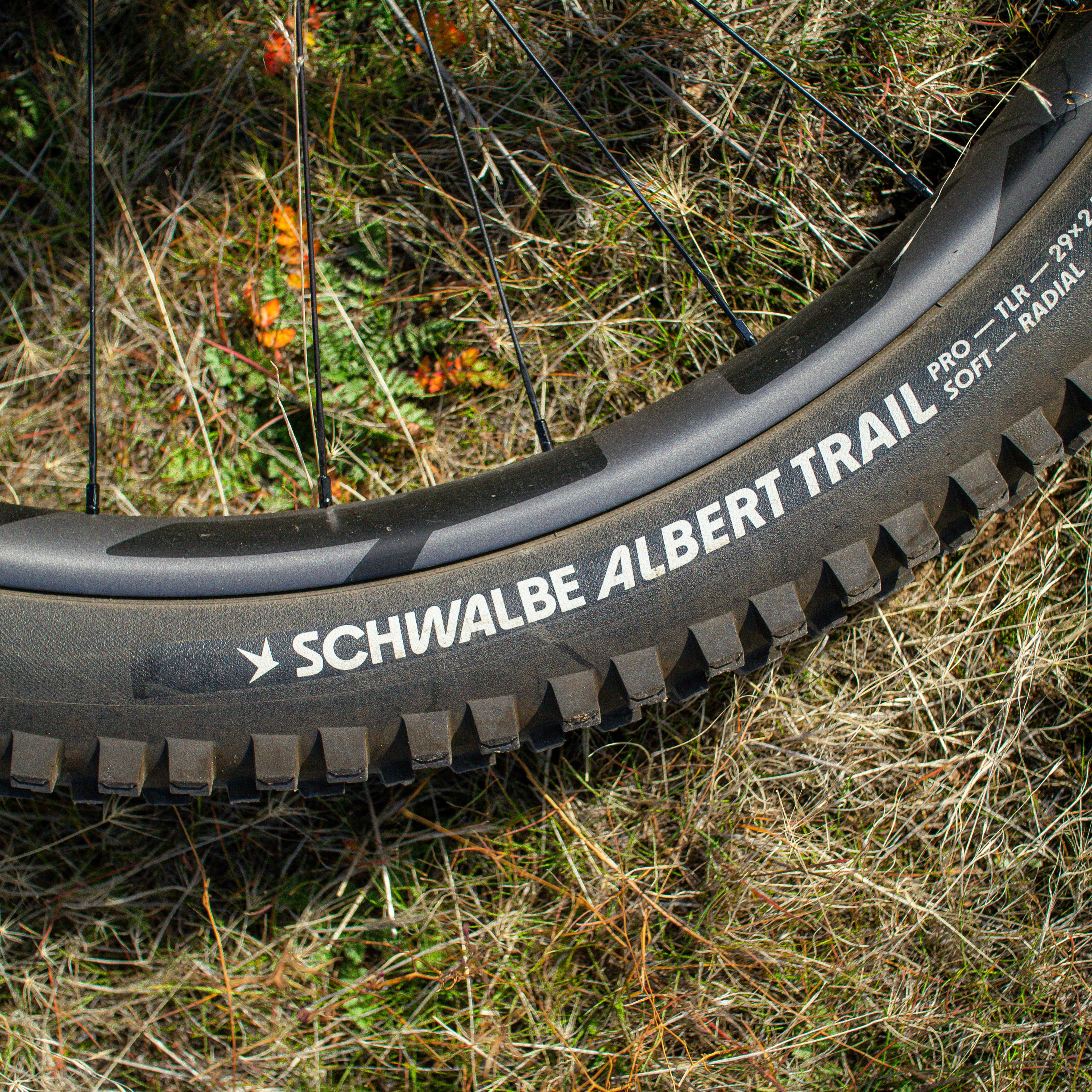 Mountain Bikers Embark on an Epic Ride Across Florida - BikeMag