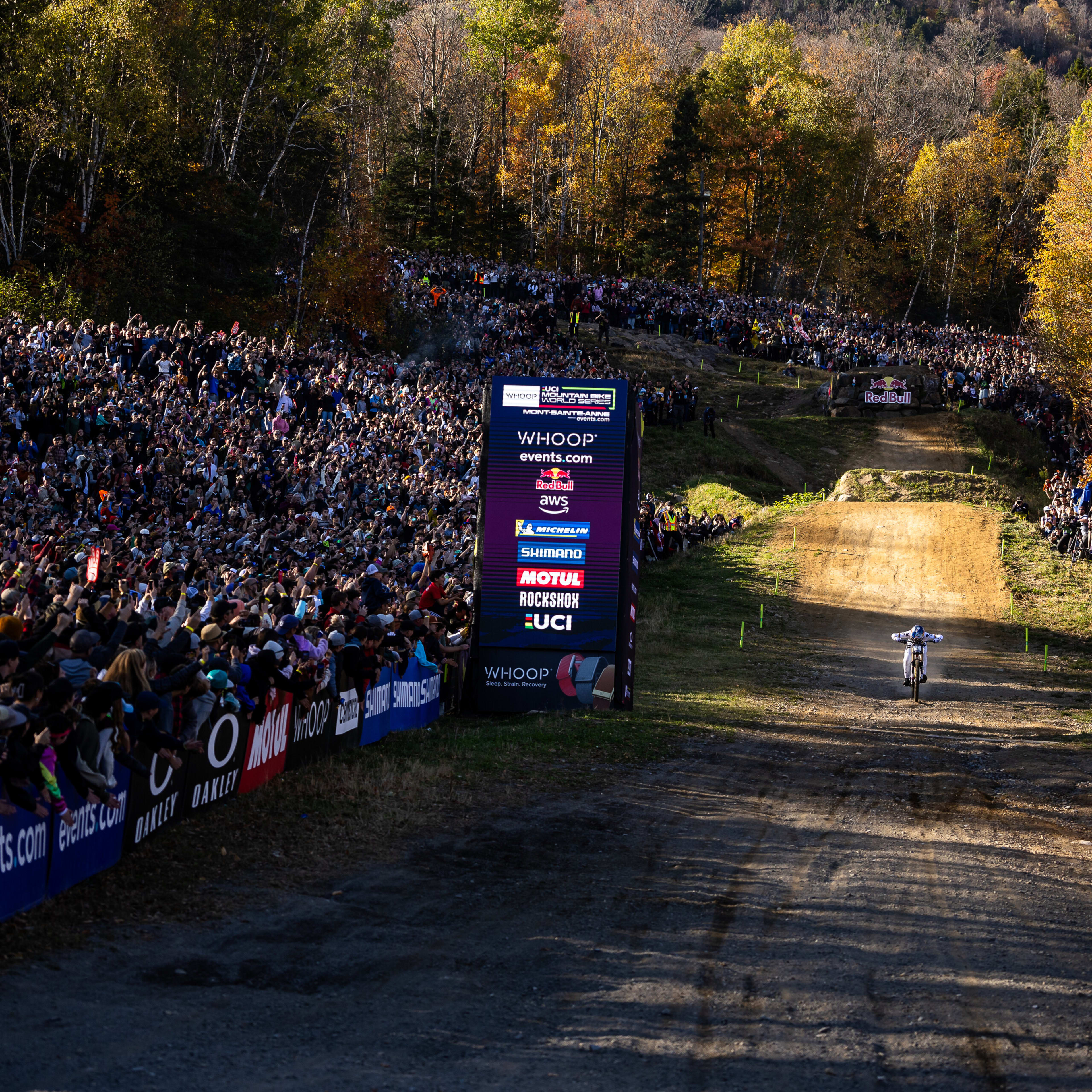 Must Be Nice: Loïc Bruni Fights to Build his Downhill Dynasty - BikeMag