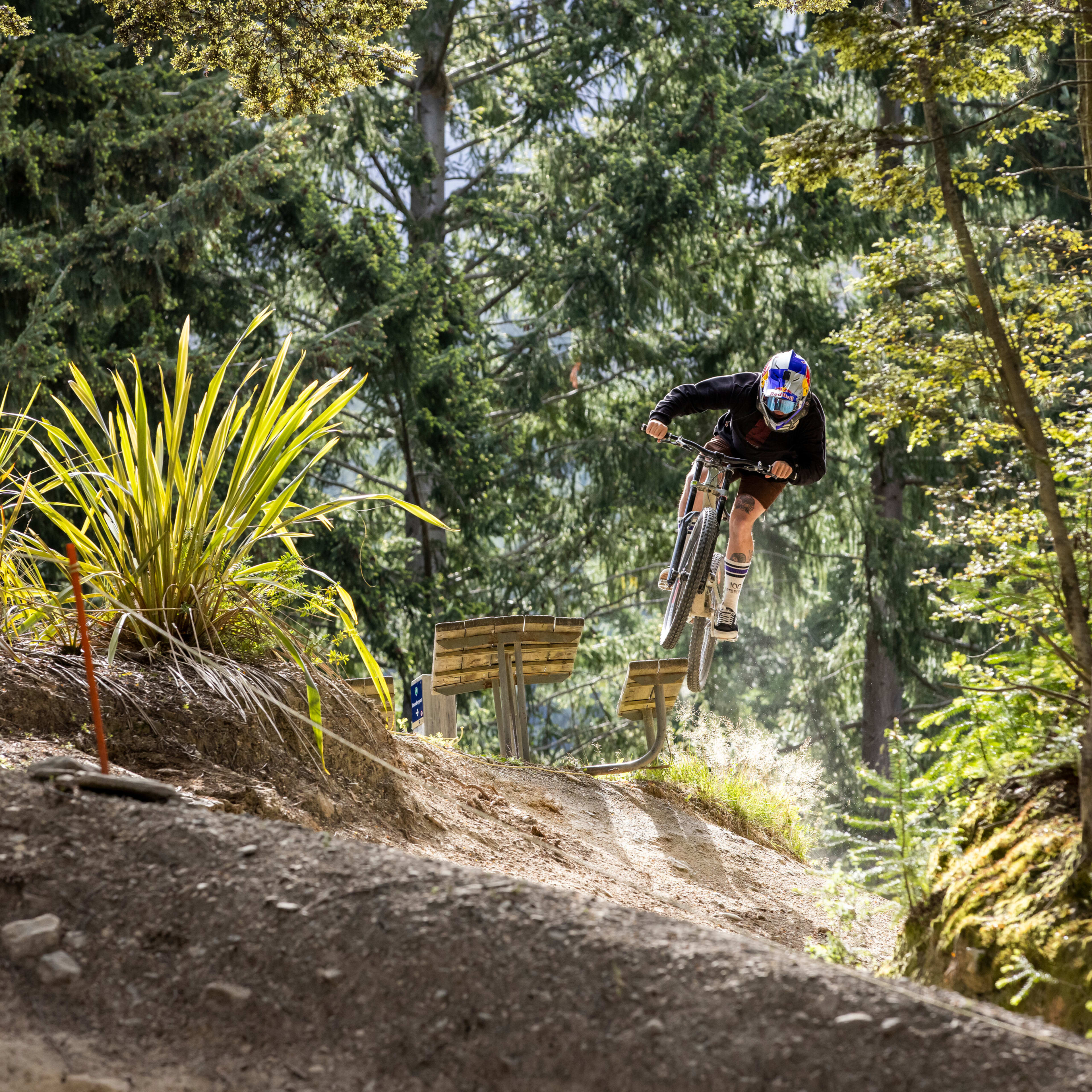 MTB Slang Guide: 30+ Must-Know Mountain Biking Terms and Lingo - BikeMag