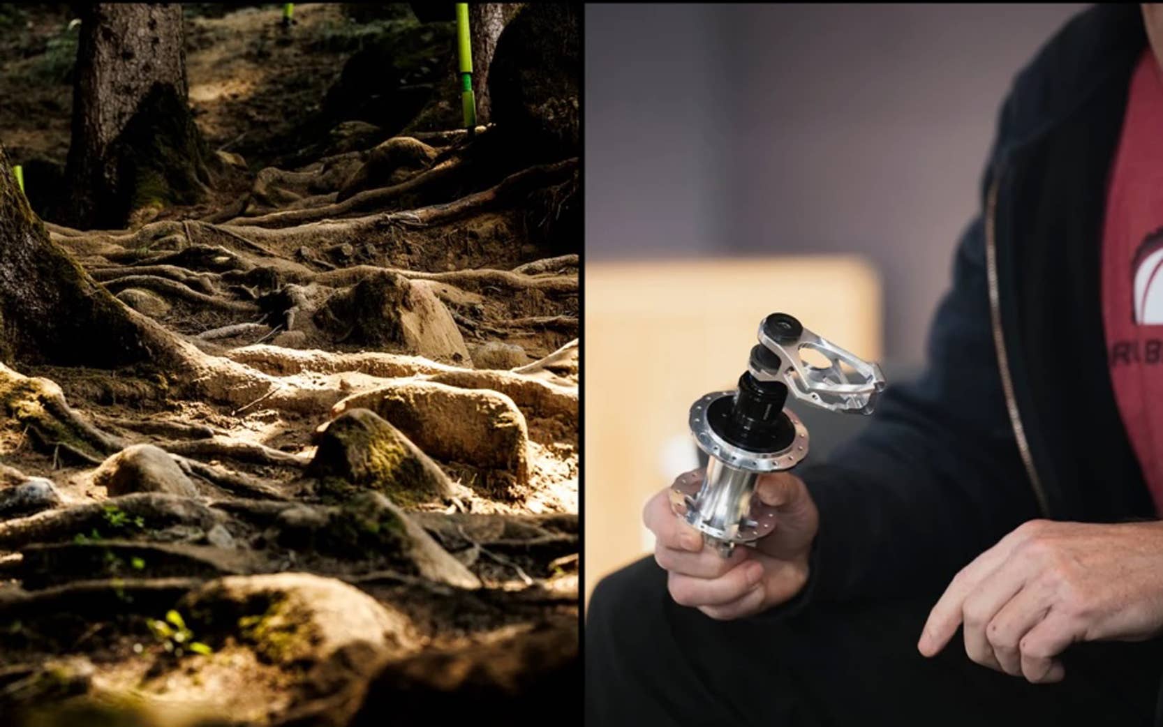 How To Measure Mountain Bike Chainline - BikeMag
