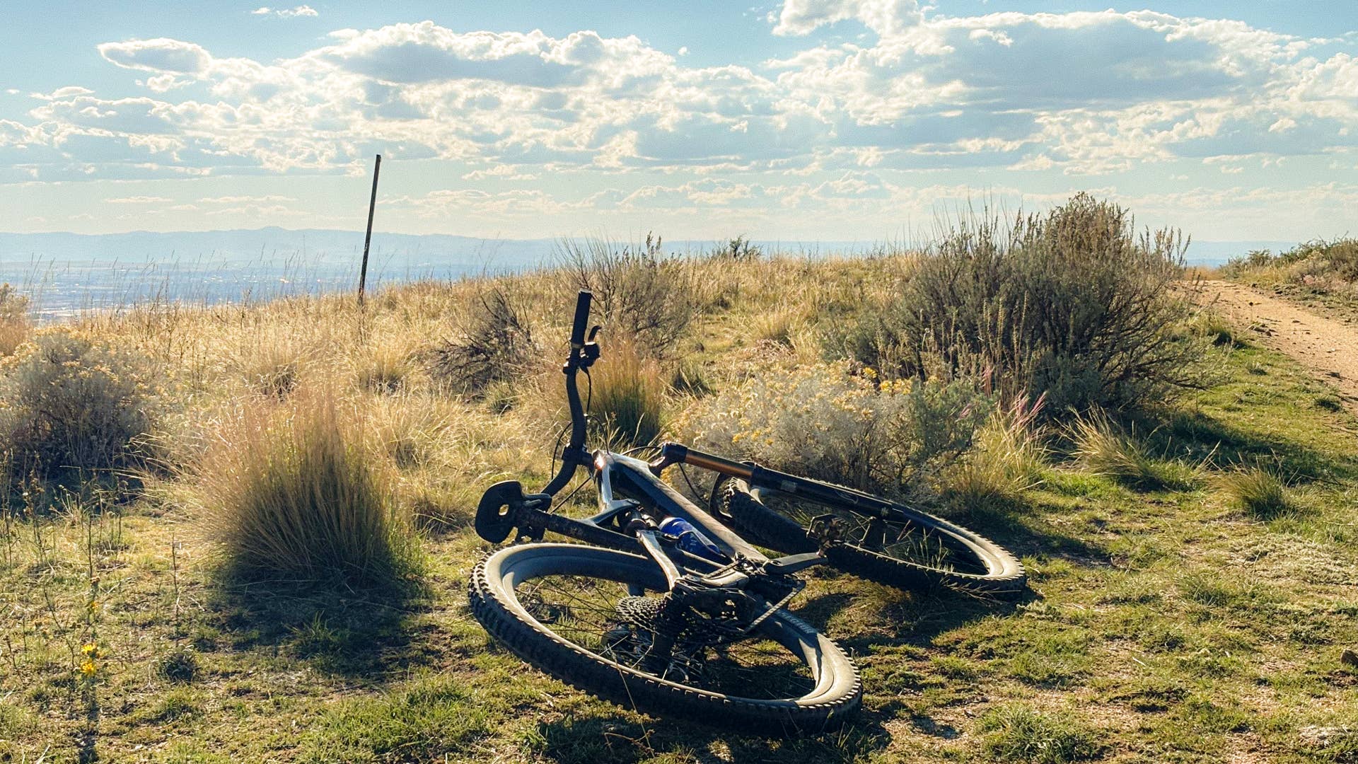 Amflow PL Carbon Pro Review: Long-Term eMTB Test - BikeMag