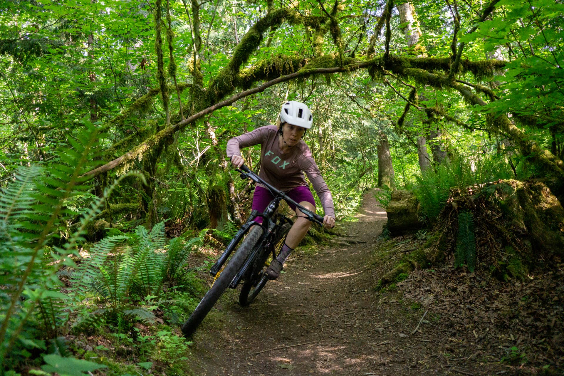 Cannondale Scalpel 2 Review, Tested - BikeMag