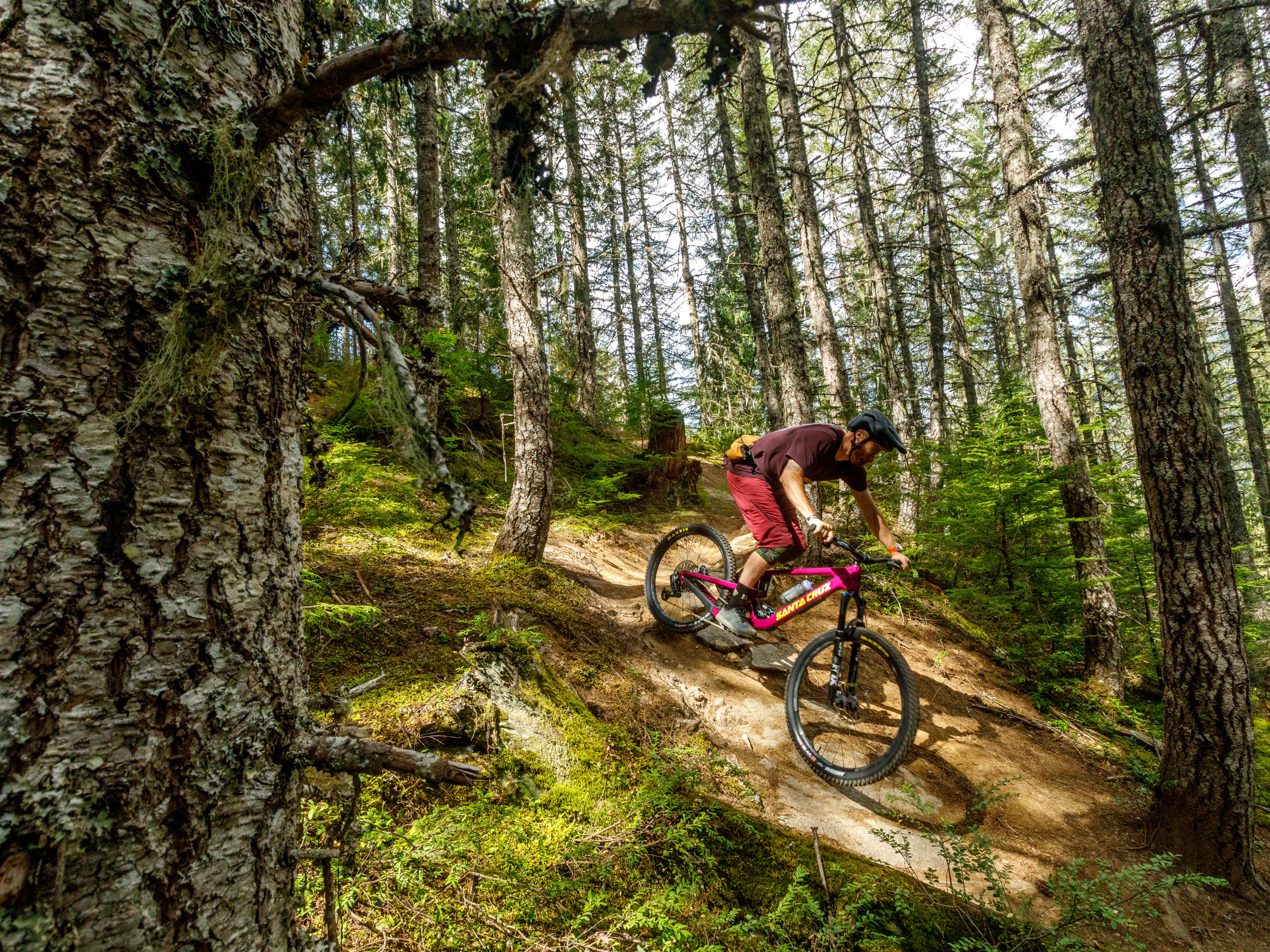 Review: Santa Cruz New Bronson Trail Bike 2024, Tested - BikeMag