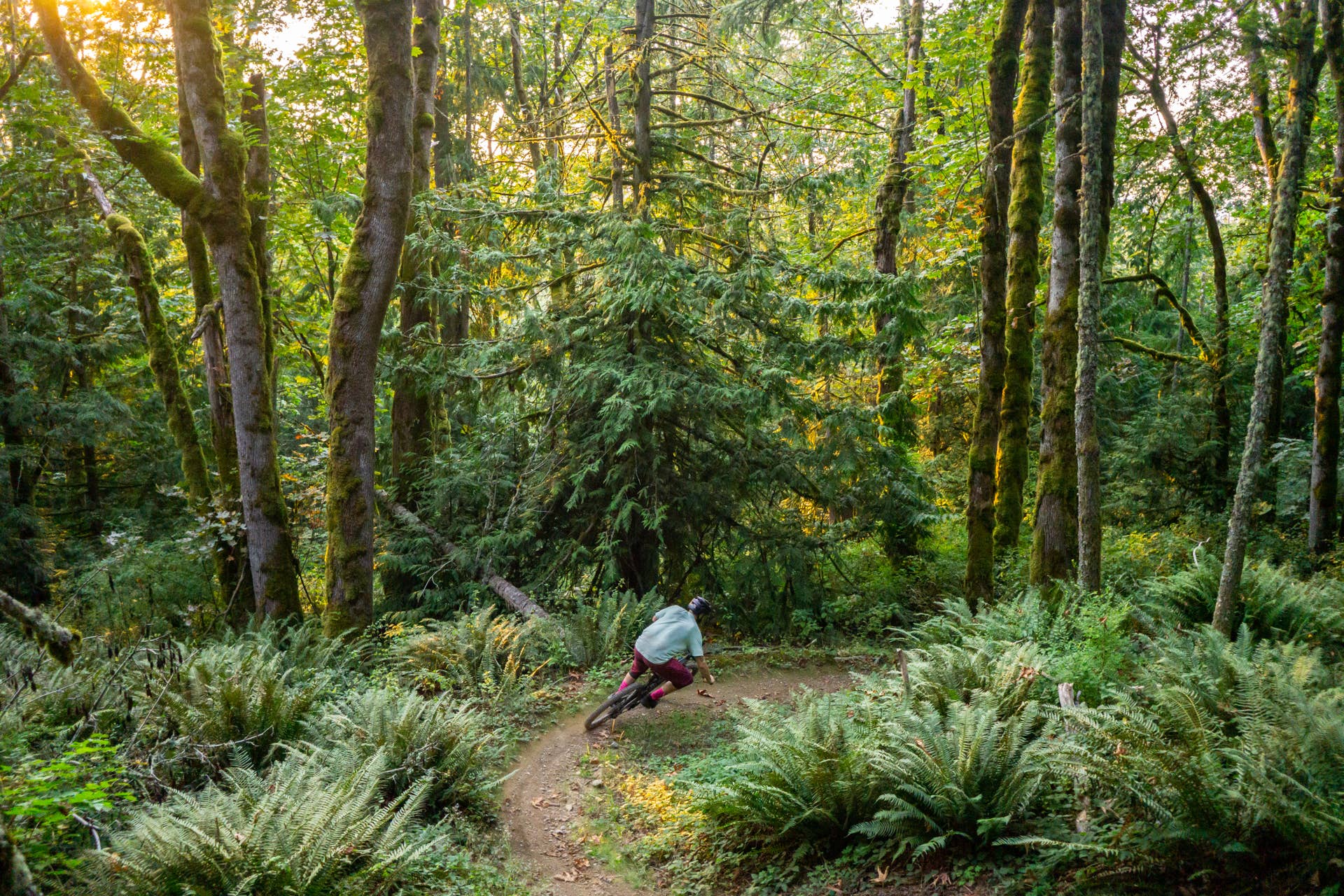 Mountain Bike Trail Features: The Essential Guide - BikeMag