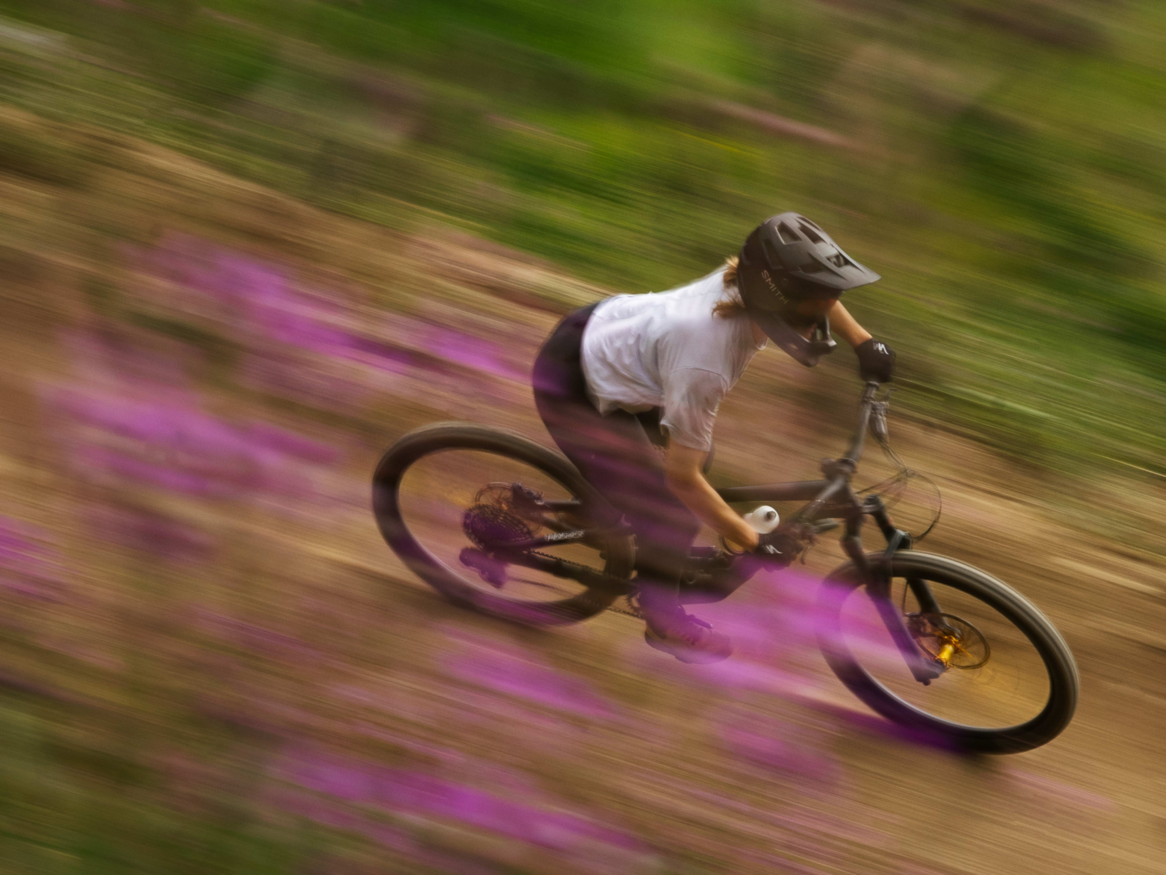 How to Mountain Bike: Ultimate Beginner’s Guide with Step-by-Step ...