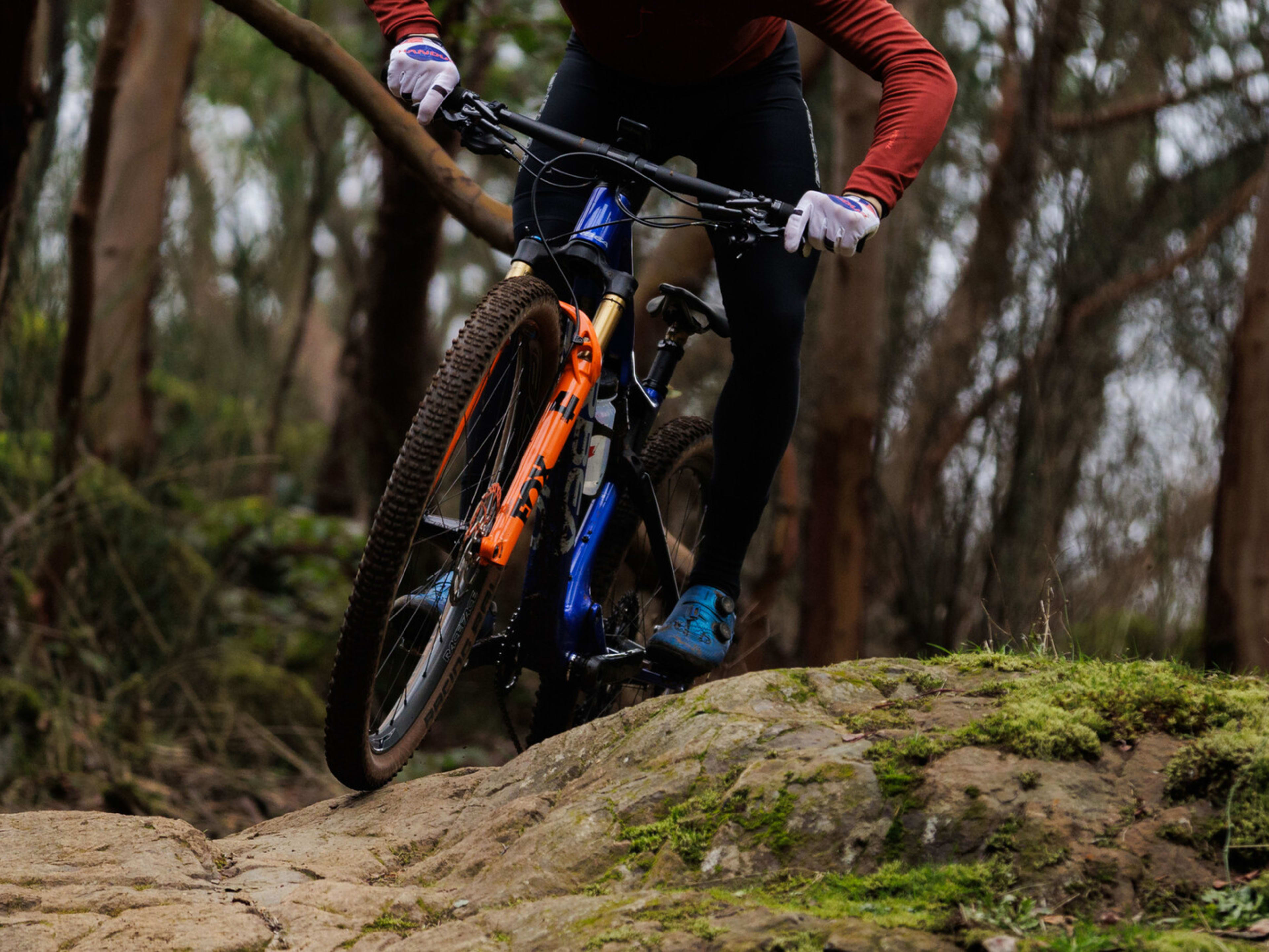 The New Fox 34 SL Is More Than Just the Perfect Downcountry Mountain ...