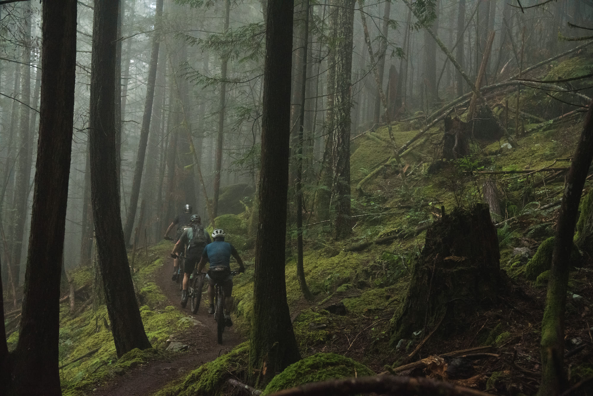 E-Bikes Are Welcome BC Bike Race This Year - BikeMag