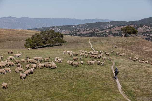 Scott Bicycles Scale 700 650b 27.5" Ride Impressions - BikeMag