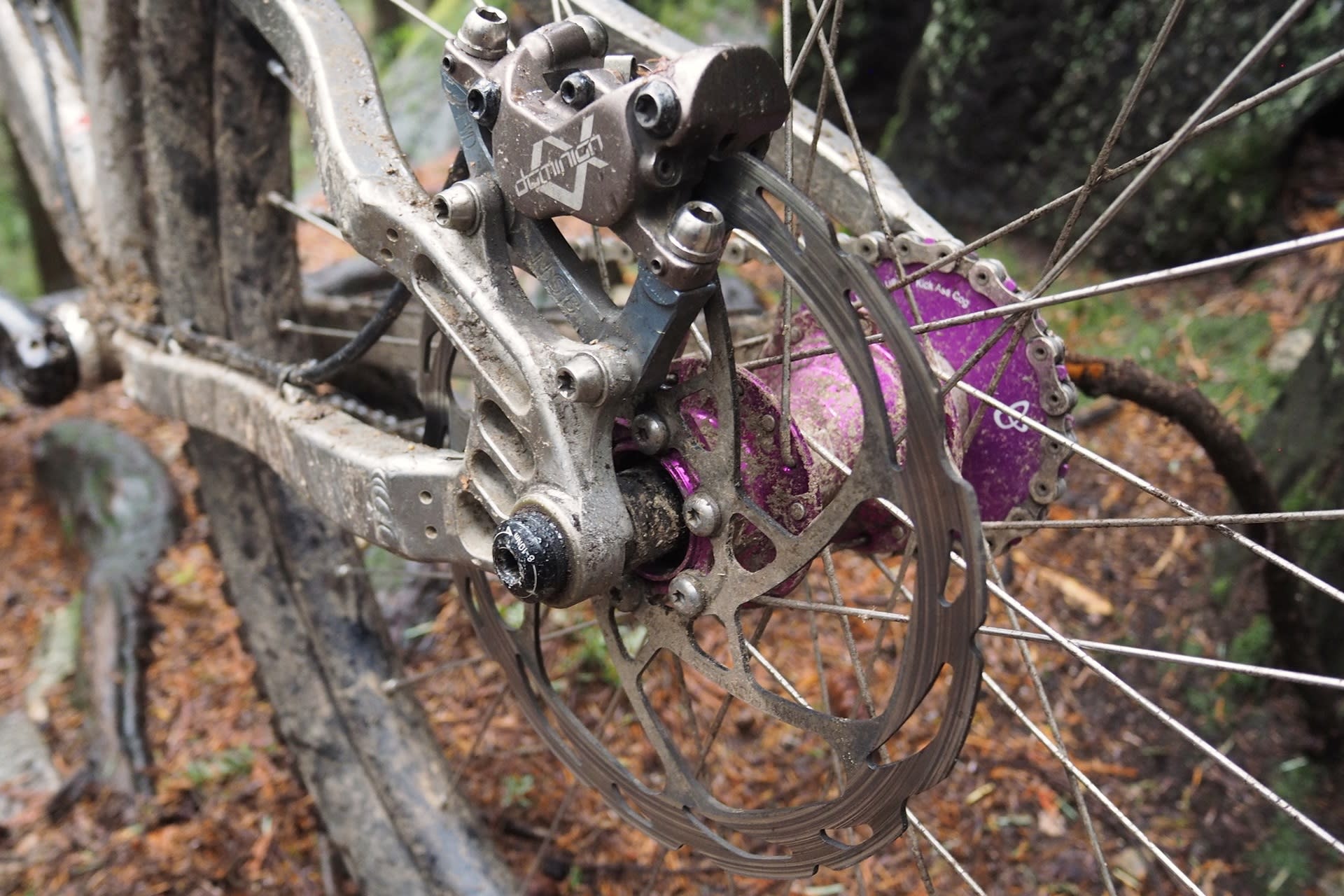 Tested & Launch: Project 321 G3 Hubs - BikeMag