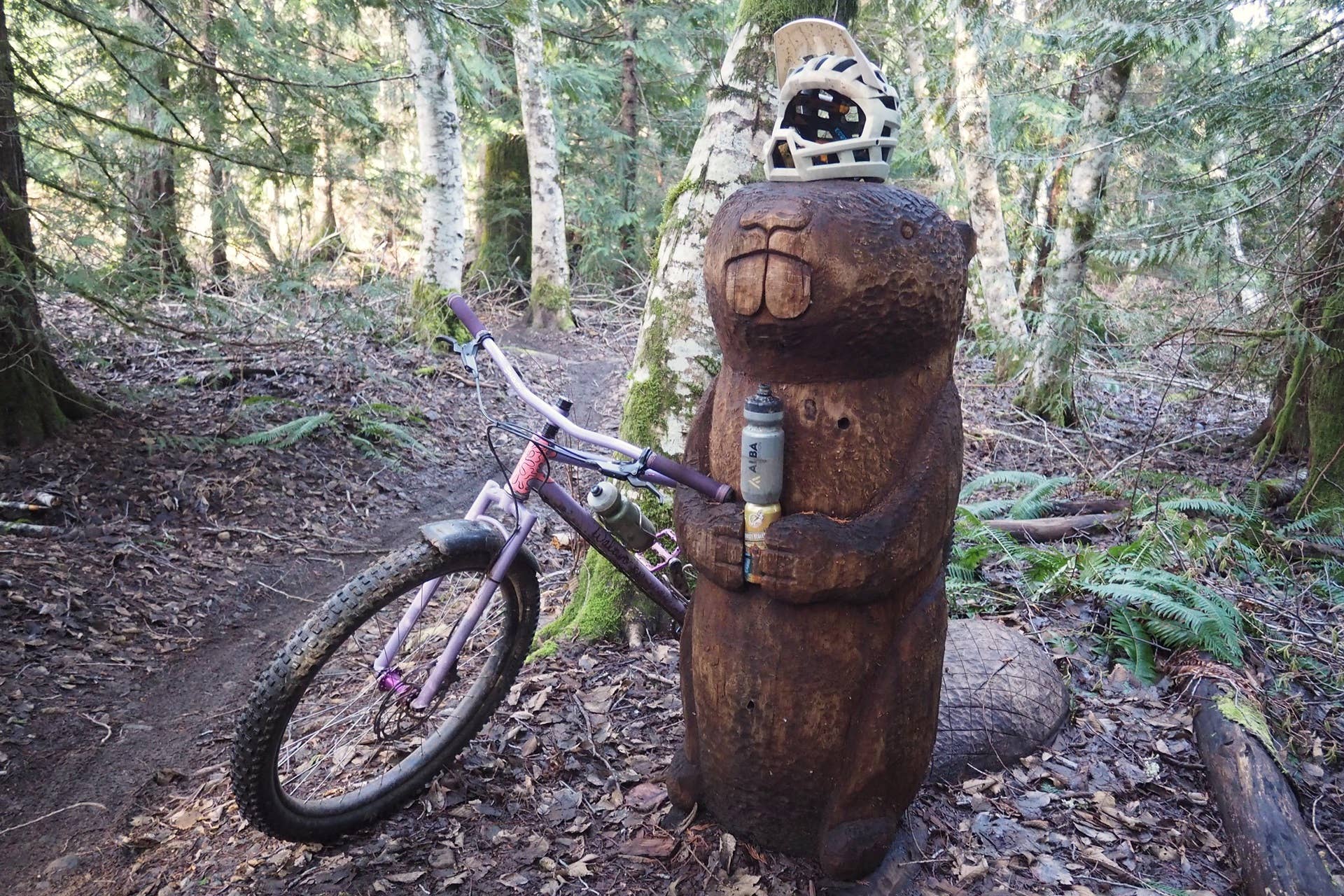 Tested & Launch: Project 321 G3 Hubs - BikeMag