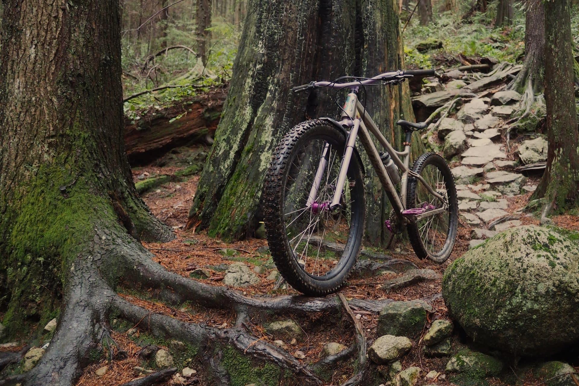 Tested & Launch: Project 321 G3 Hubs - BikeMag