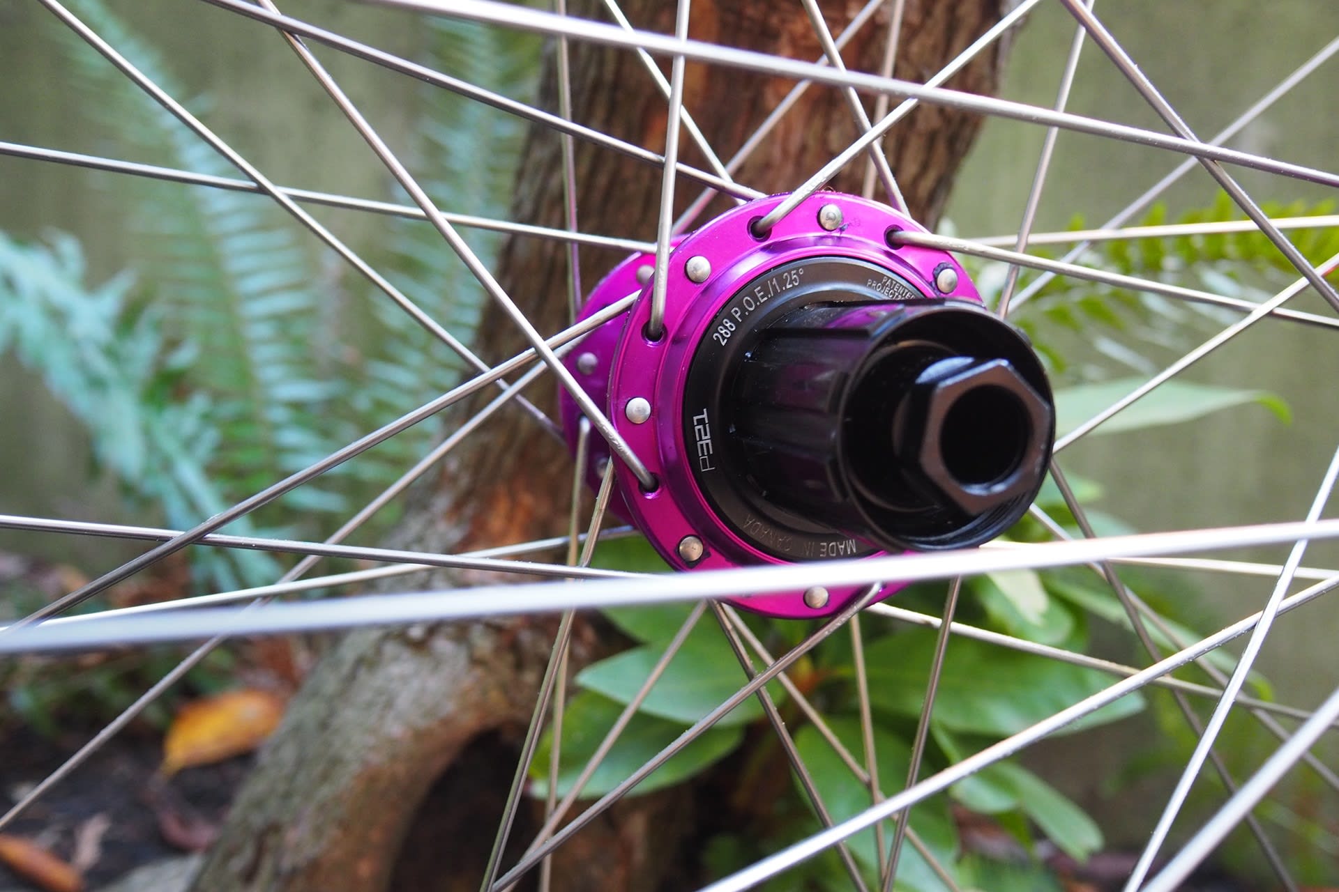 Tested & Launch: Project 321 G3 Hubs - BikeMag