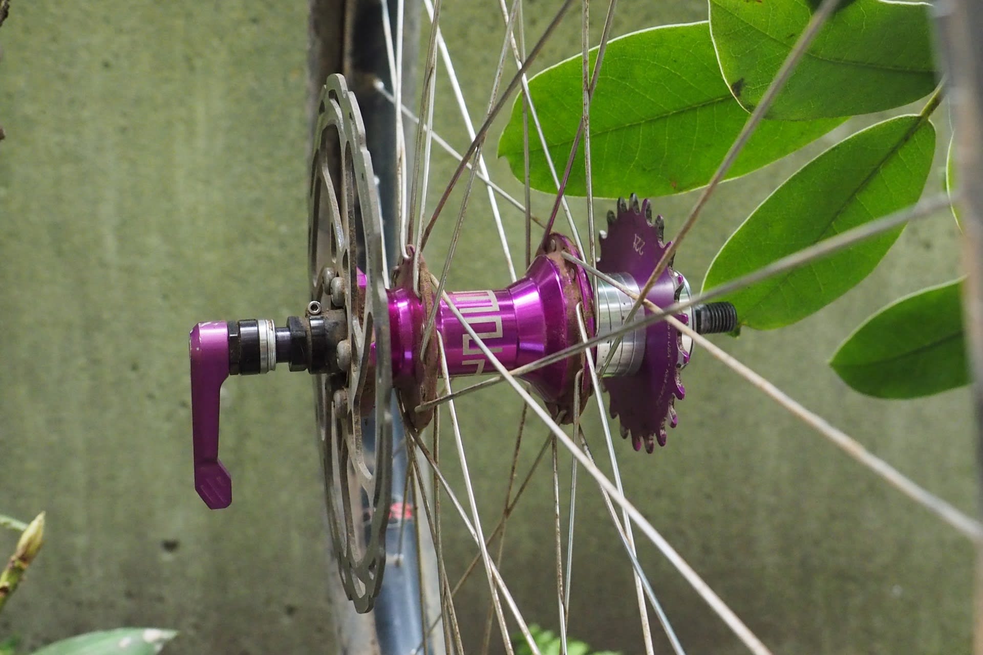 Tested & Launch: Project 321 G3 Hubs - BikeMag