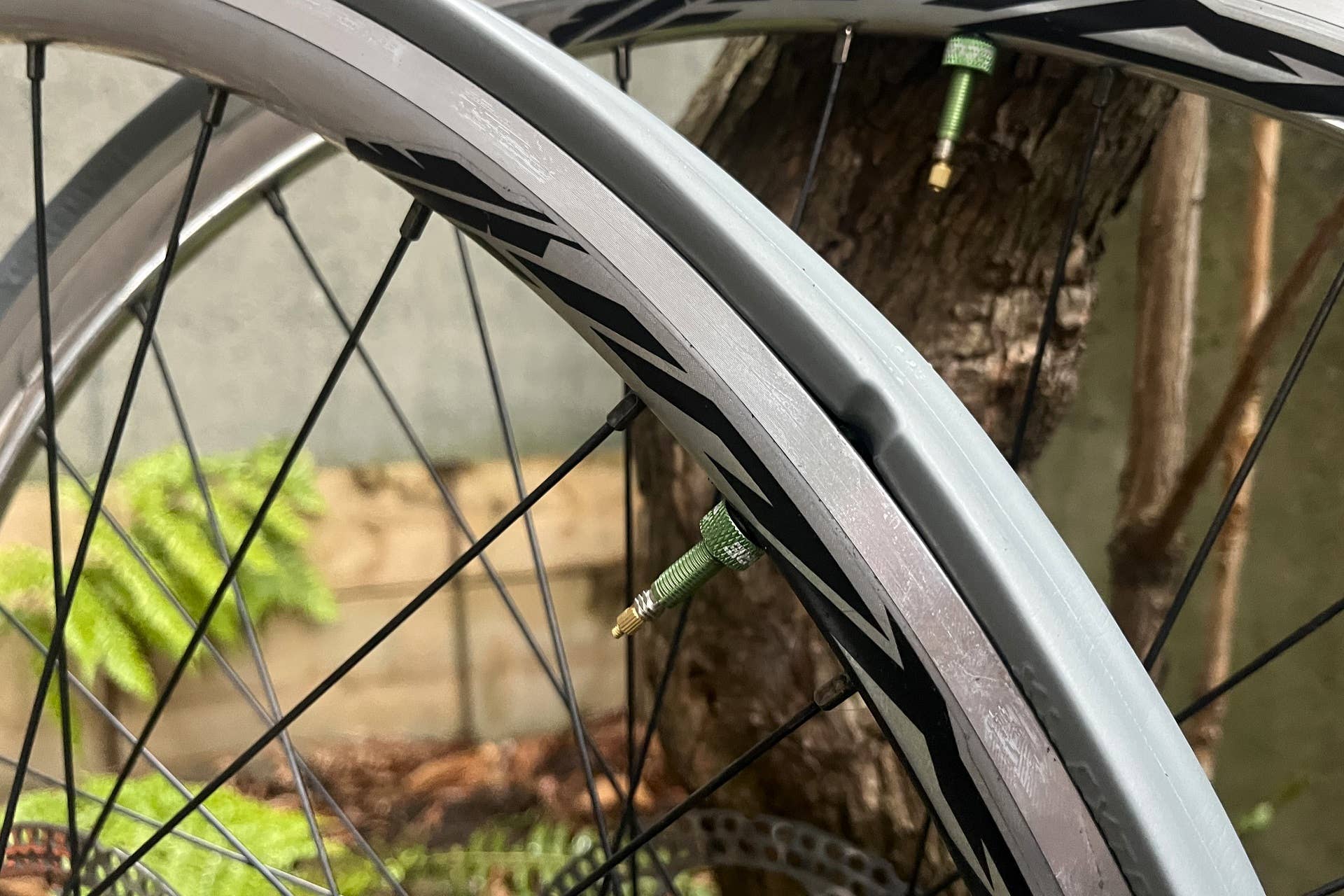Schwalbe G-One R Tires – A Peer Review - BikeMag