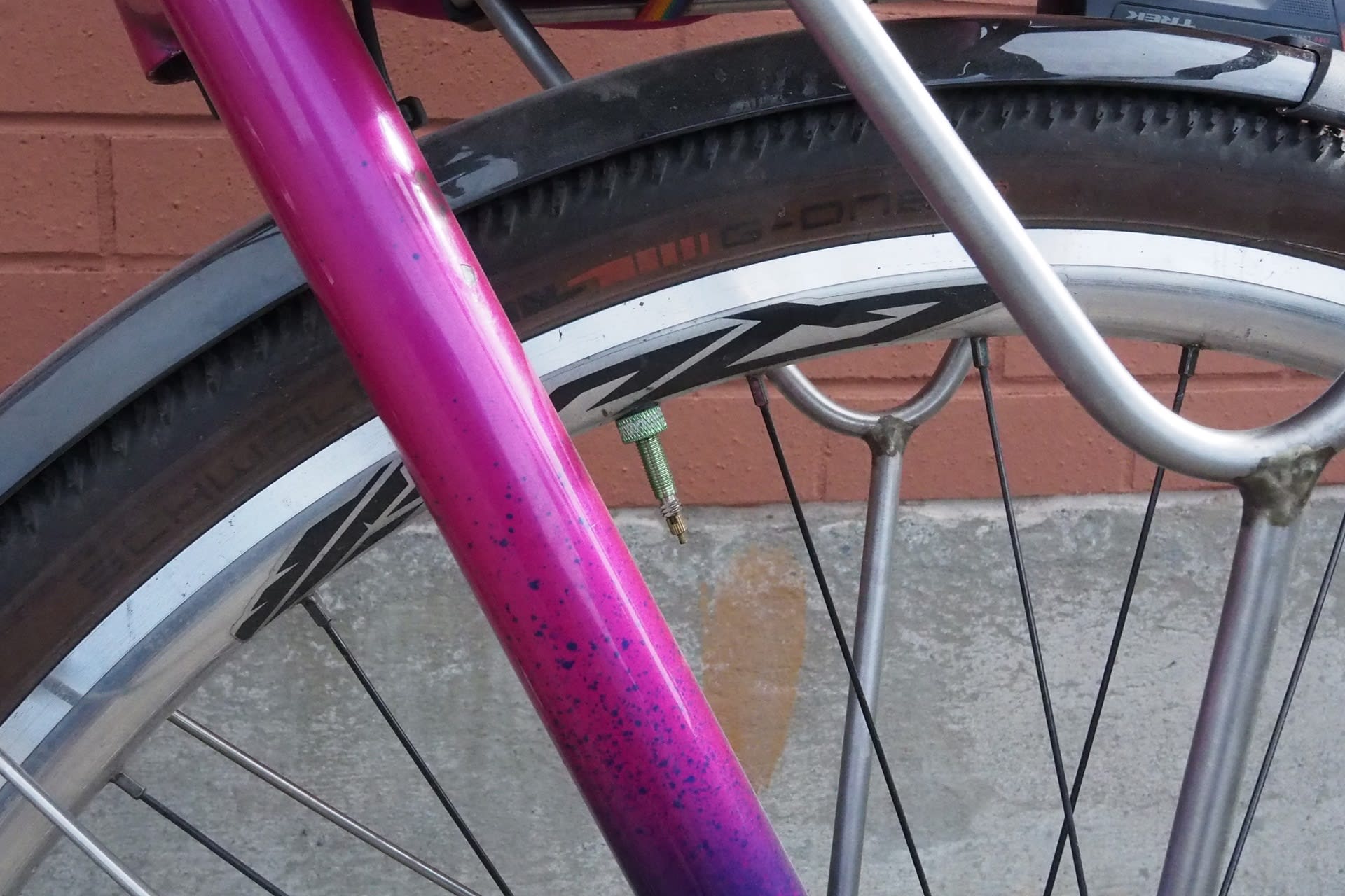 Schwalbe G-One R Tires – A Peer Review - BikeMag