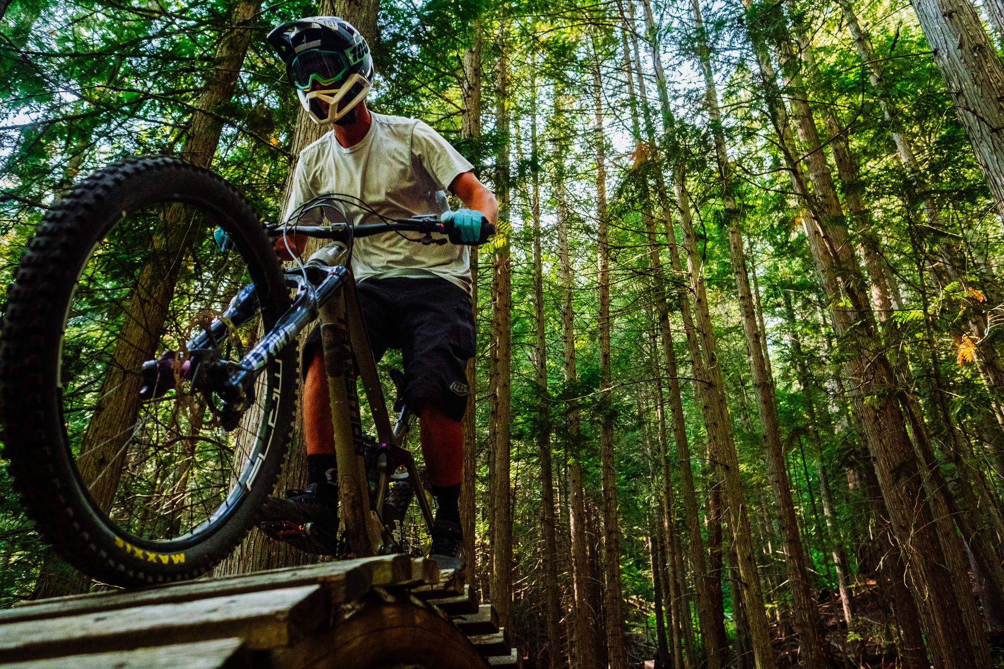 How To Dirt Jump Bike Care Tips: Ultimate Guide For Peak Performance - BikeTro