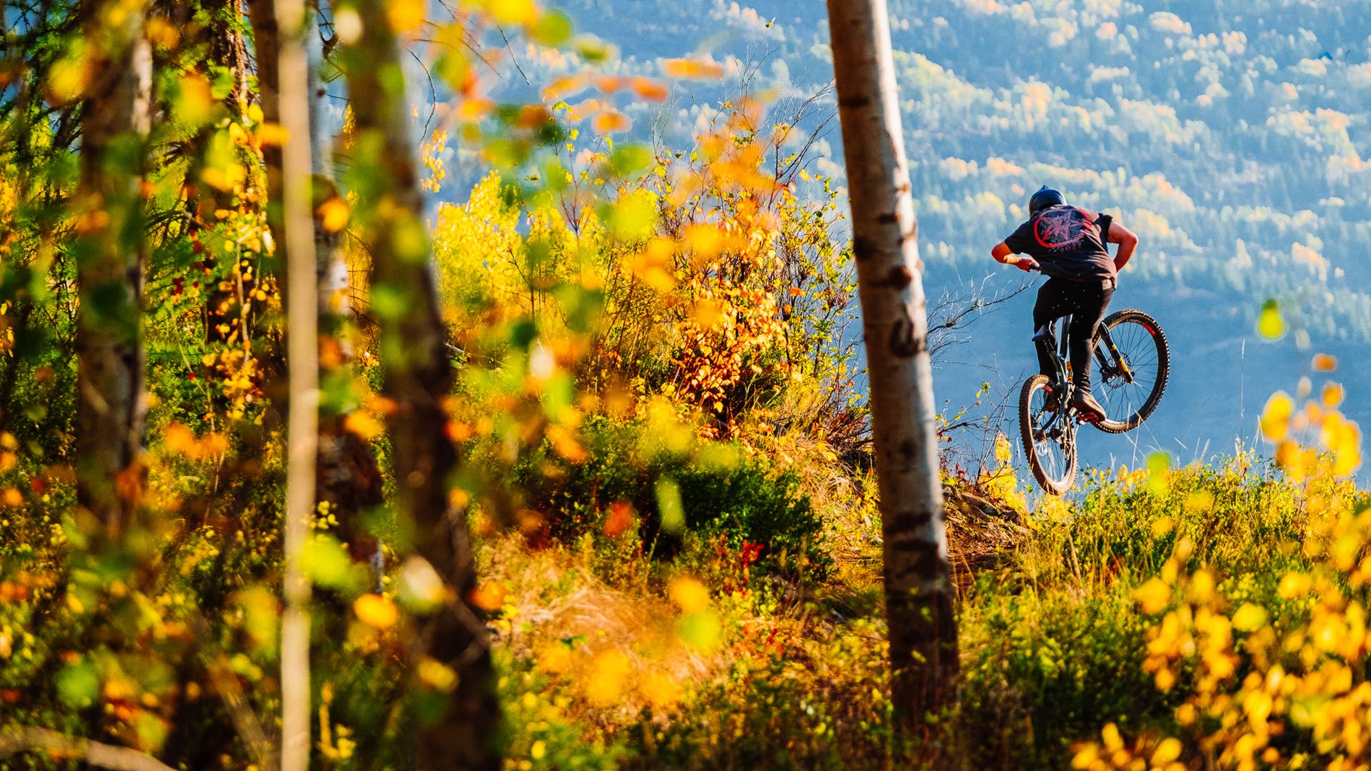 New Bike Park Coming to British Columbia, Canada - BikeMag