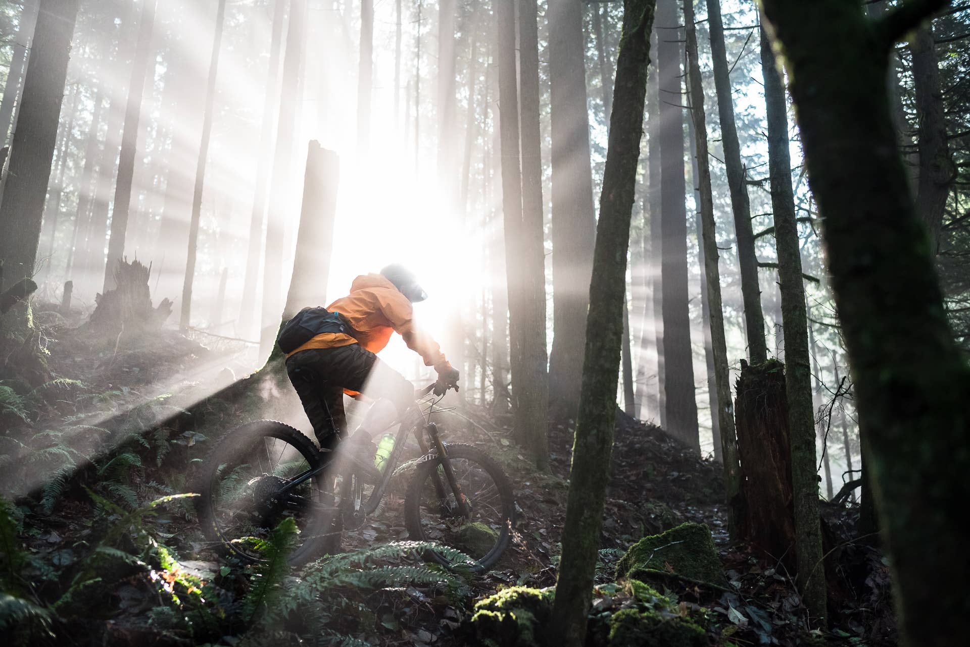 The 10 Best MTB Destinations for Beginners in the U.S. - BikeMag
