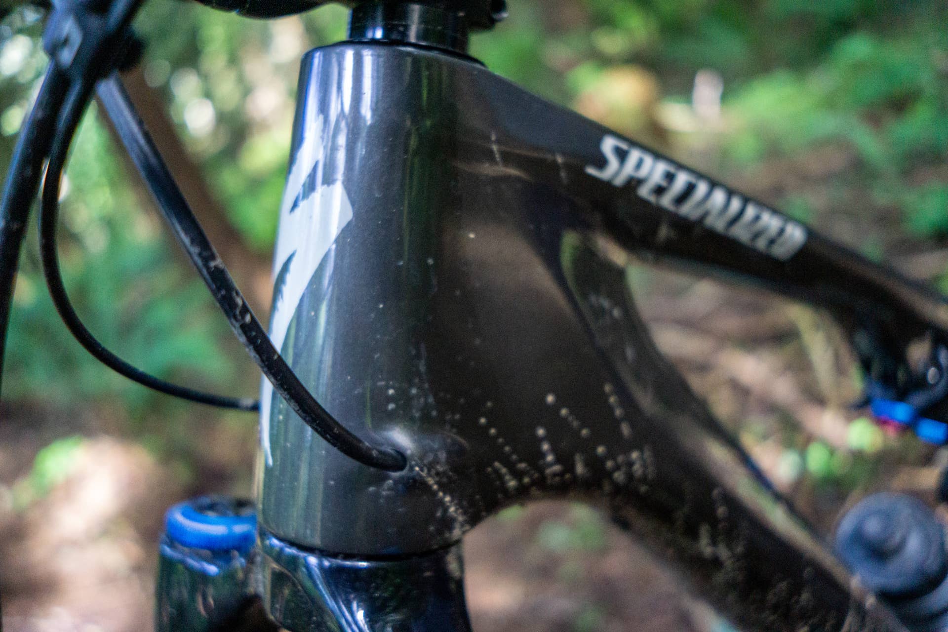 Tested: Specialized’s New Stumpjumper 15 Trail Bike - BikeMag