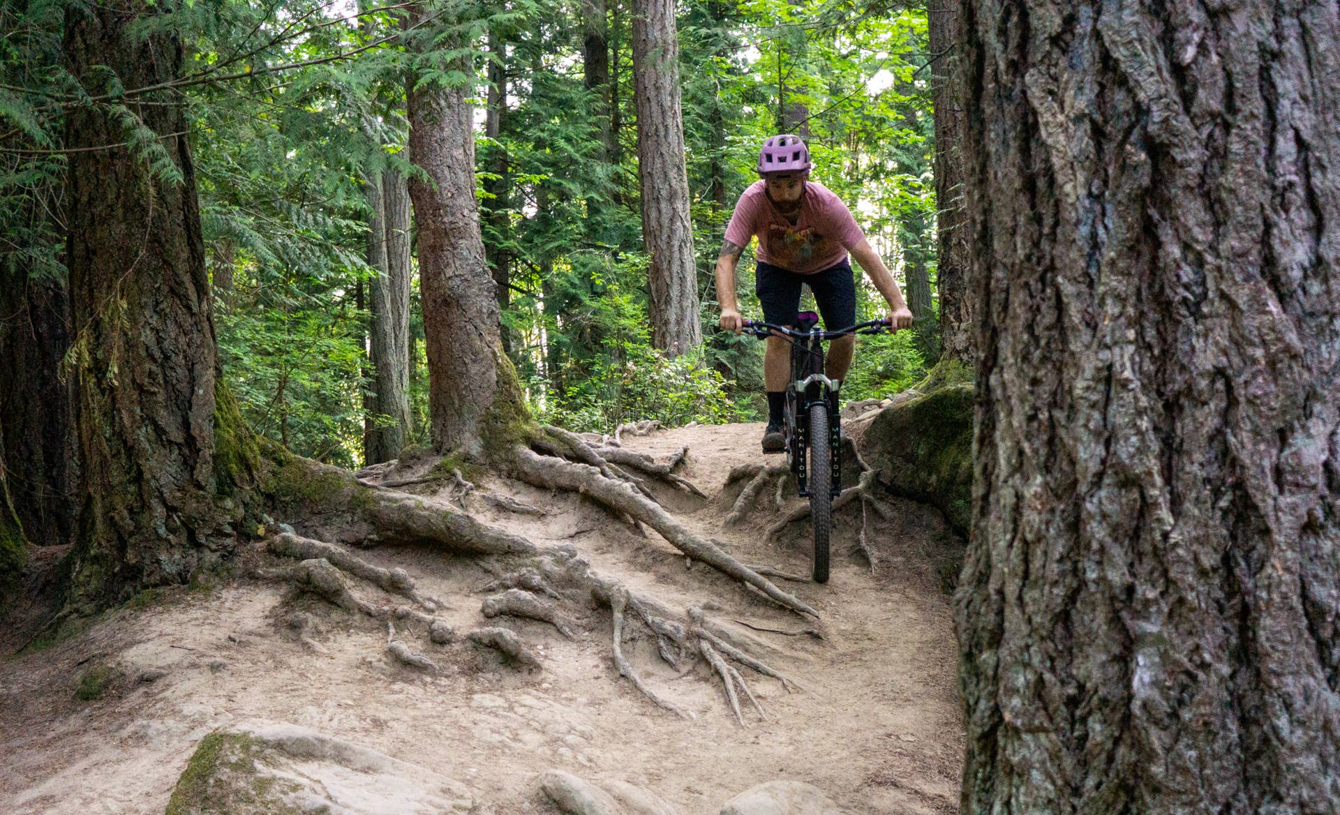 Review: Trek Introduces New Top Fuel Gen 4 Trail Bike - BikeMag