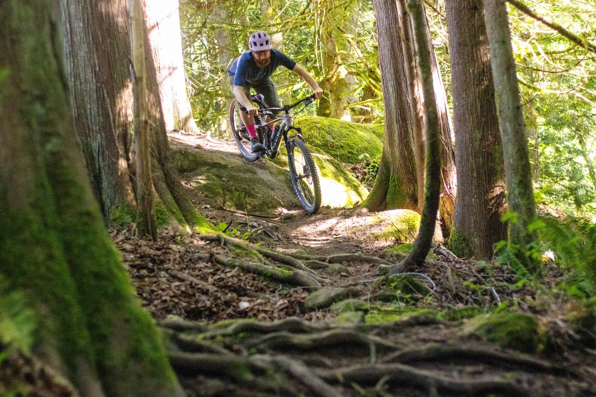 Tested: Marin Alpine Trail XR Enduro Bike - BikeMag