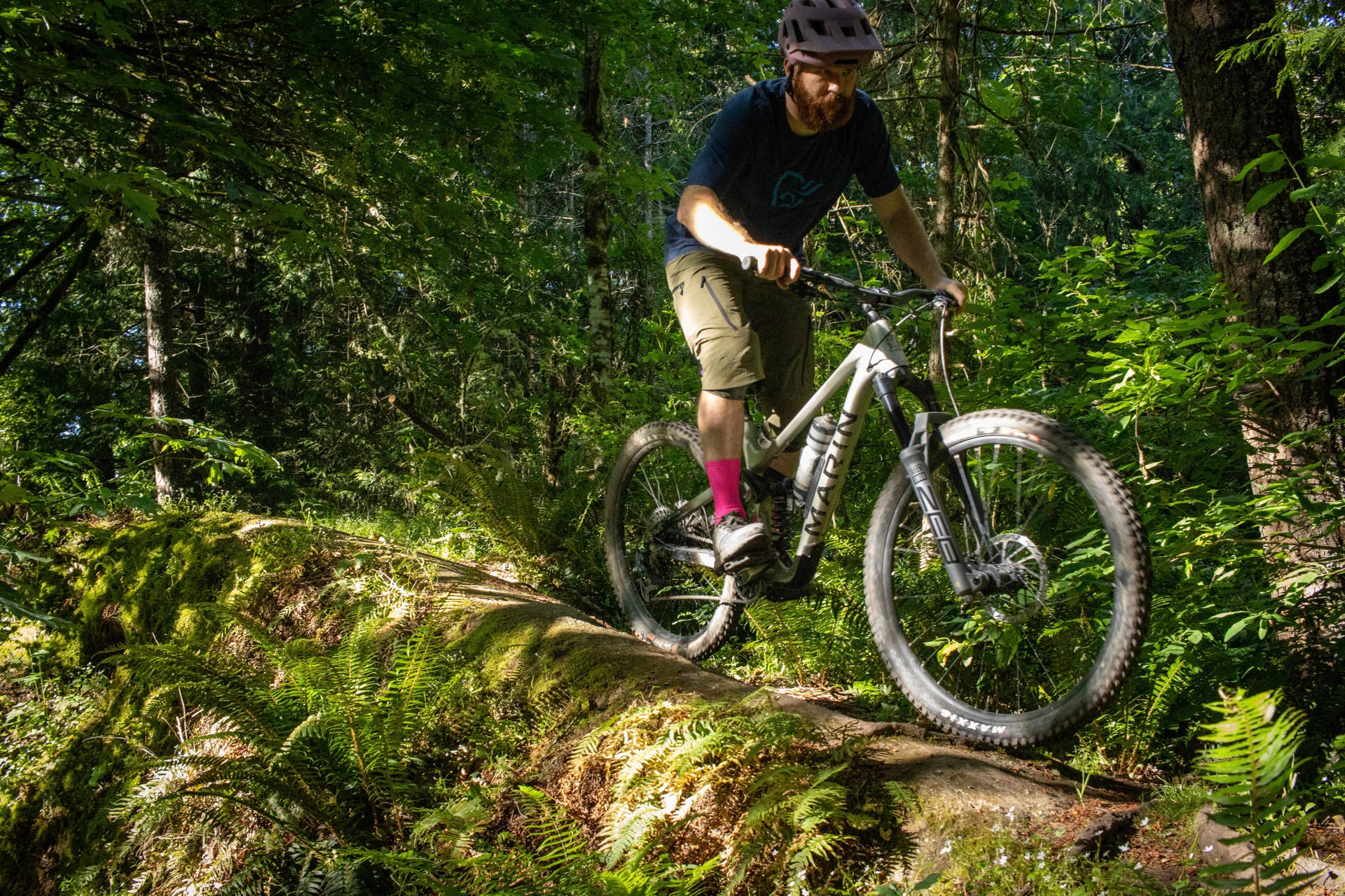 Tested: Marin Alpine Trail XR Enduro Bike - BikeMag