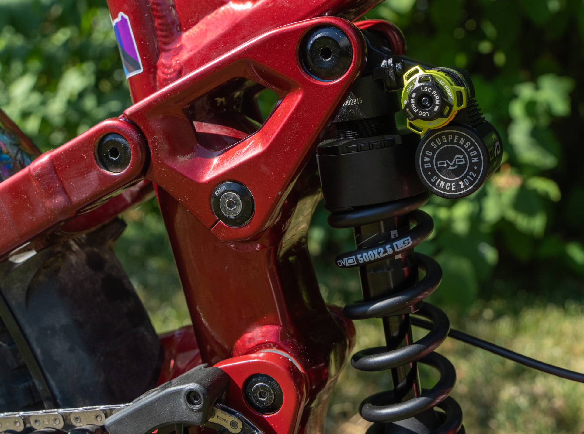Long Term Review: 6 Months on the Trek Slash - BikeMag