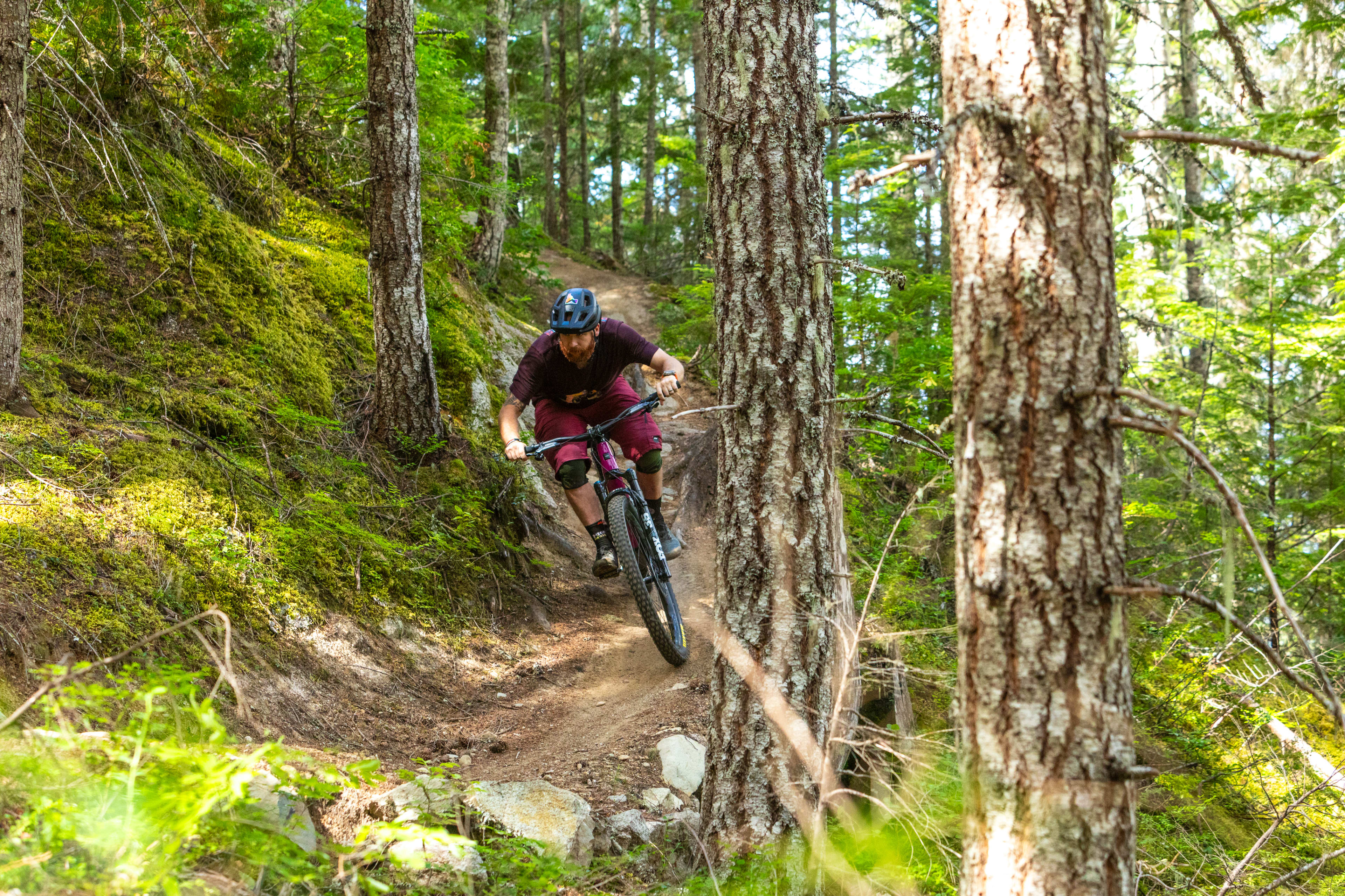 Review: Santa Cruz New Bronson Trail Bike 2024, Tested - BikeMag