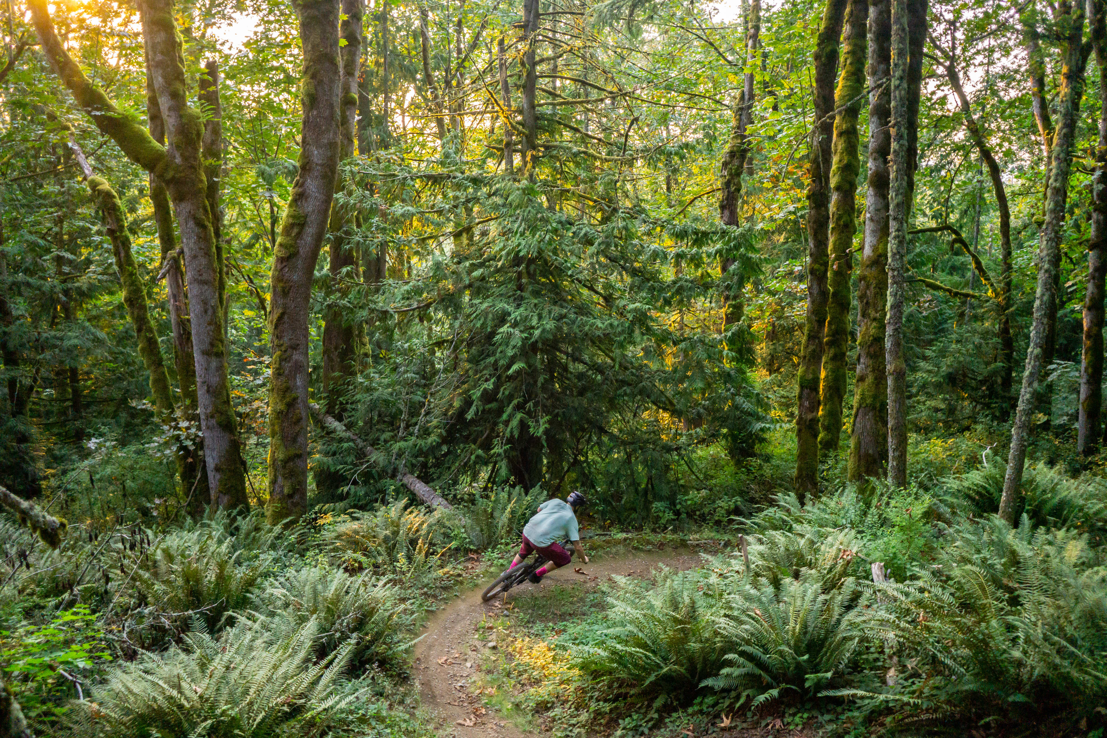 How to Mountain Bike: Ultimate Beginner’s Guide with Step-by-Step ...
