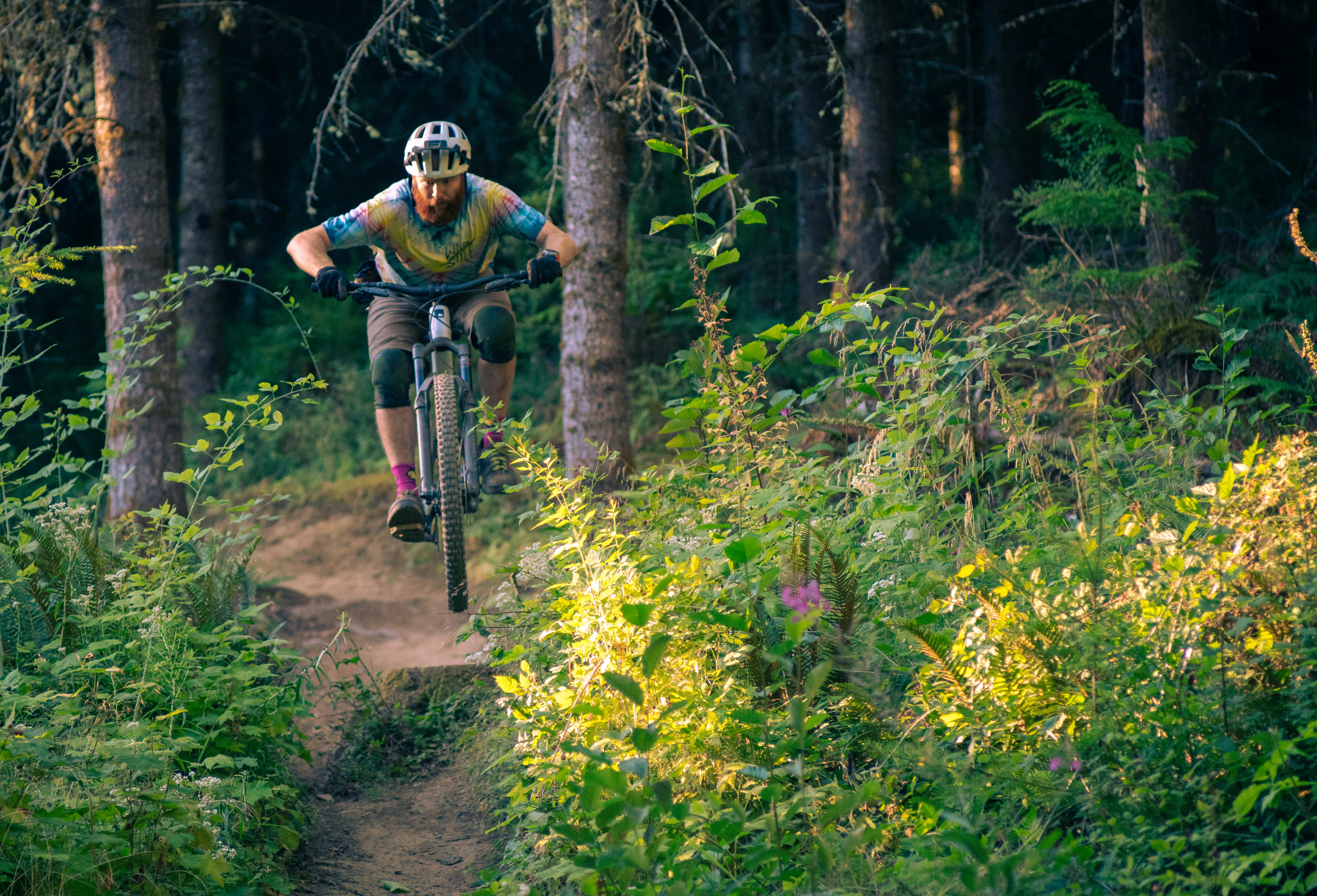 Tested: Roval Traverse HD 240 Wheels - BikeMag