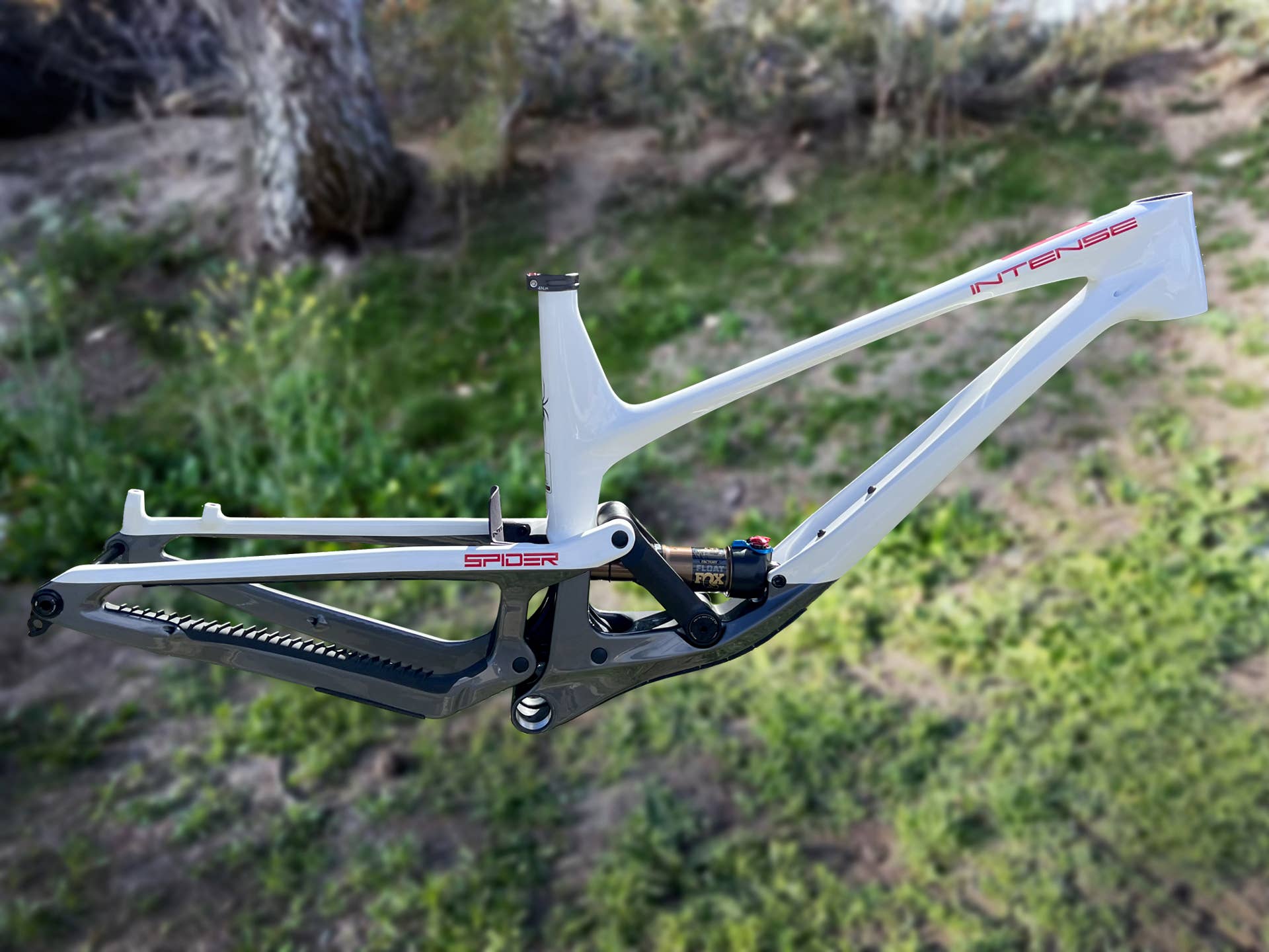 An Awesome New Trail Bike From Intense - BikeMag