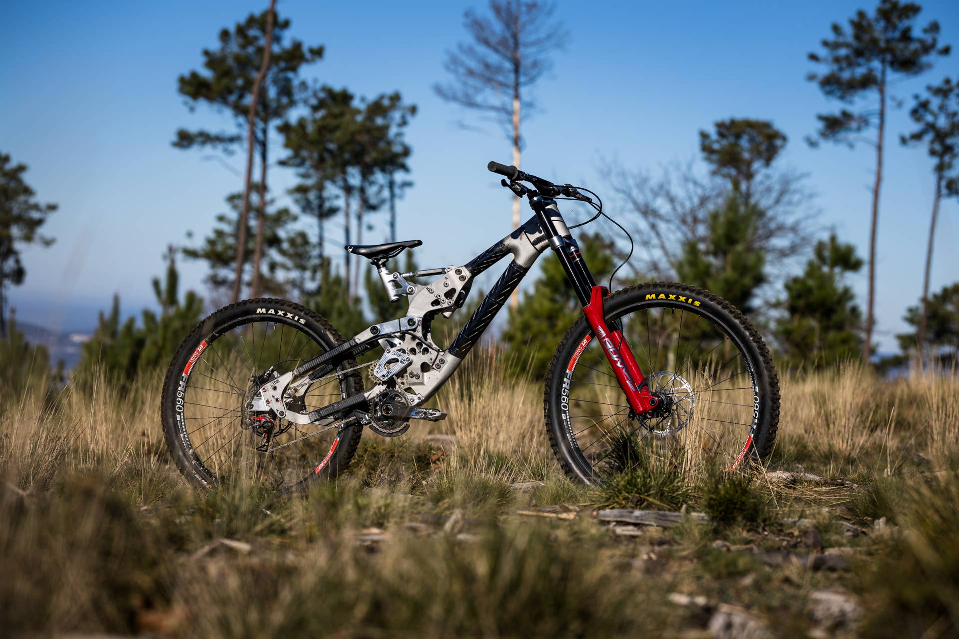 Unleash Speed and Precision With the All-New Canyon Sender CFR - BikeMag