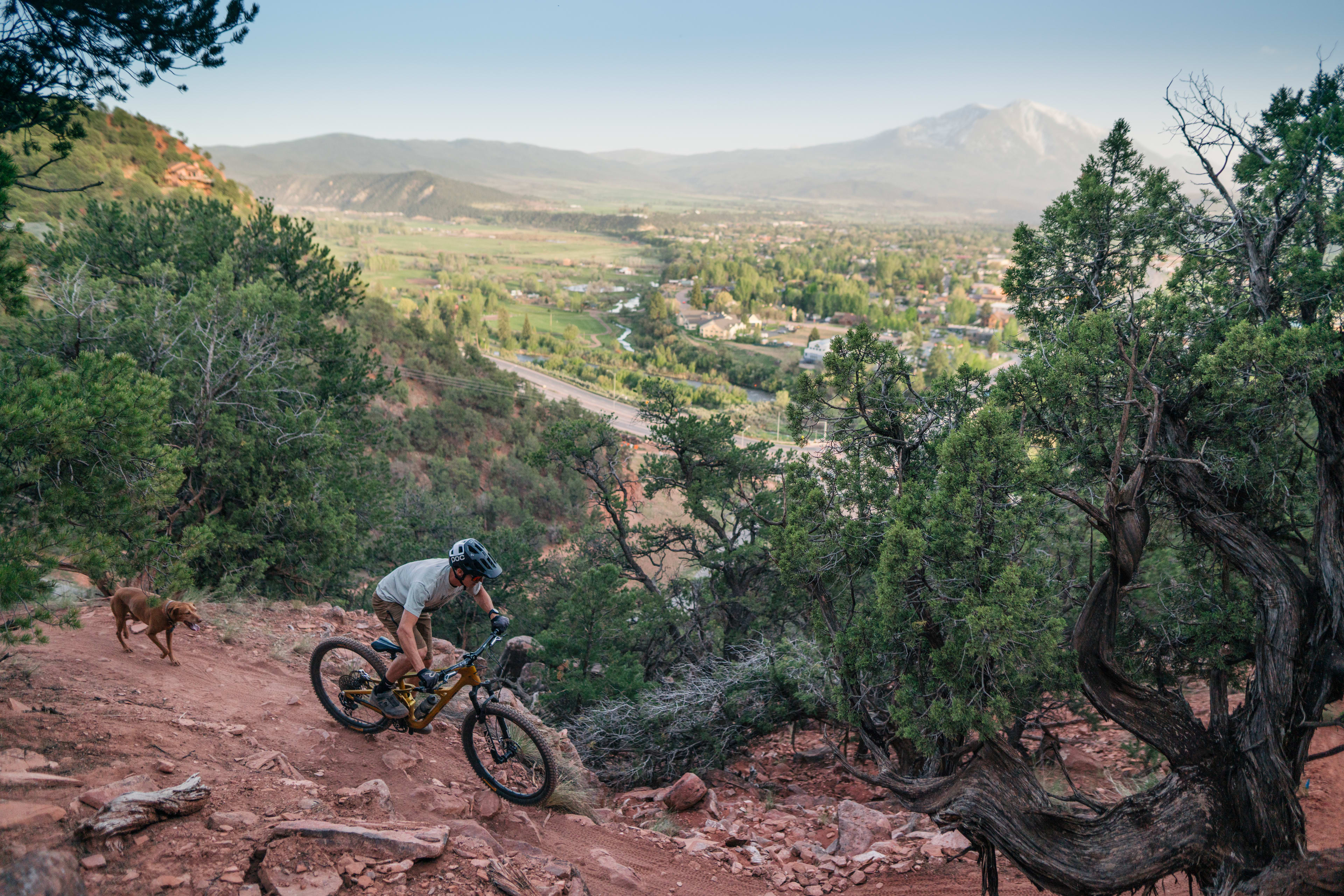 This Beloved Bike Brand Is Saved - BikeMag