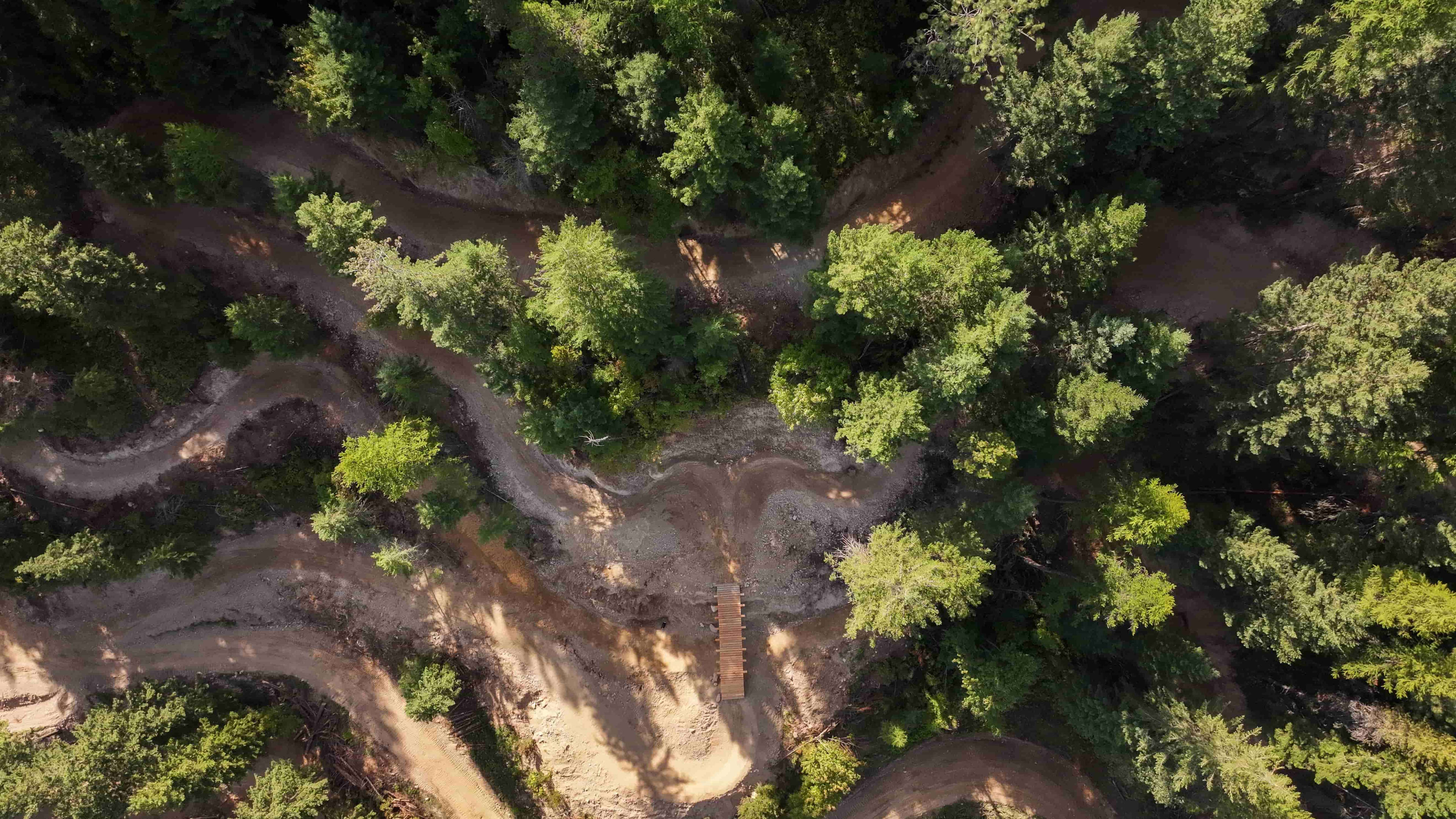 This Beloved Bike Park Has Hit An Unexpected Hurdle - Here's How You ...