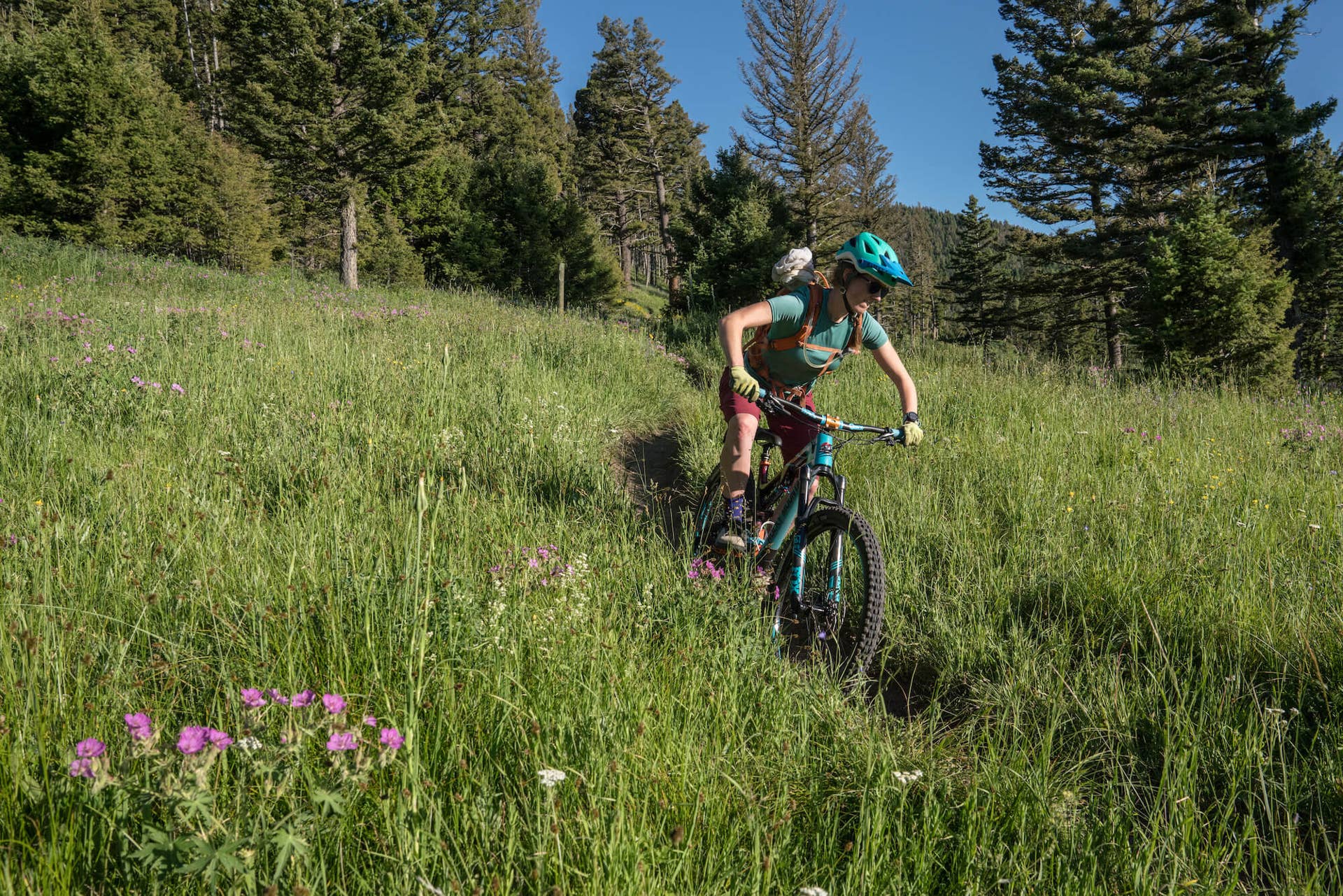 Mountain Biking Explained: All Categories for Beginners - BikeMag