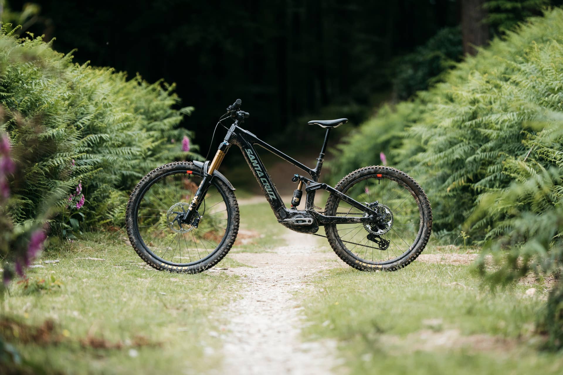 Legacy Racing Brand Releases MTB Brakes - BikeMag