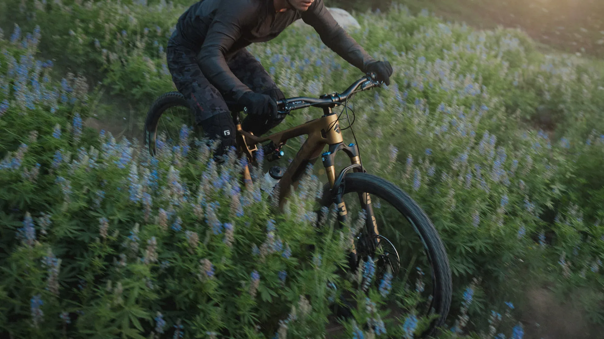 Ari Bikes Enhances Lightweight eMTB Model - BikeMag